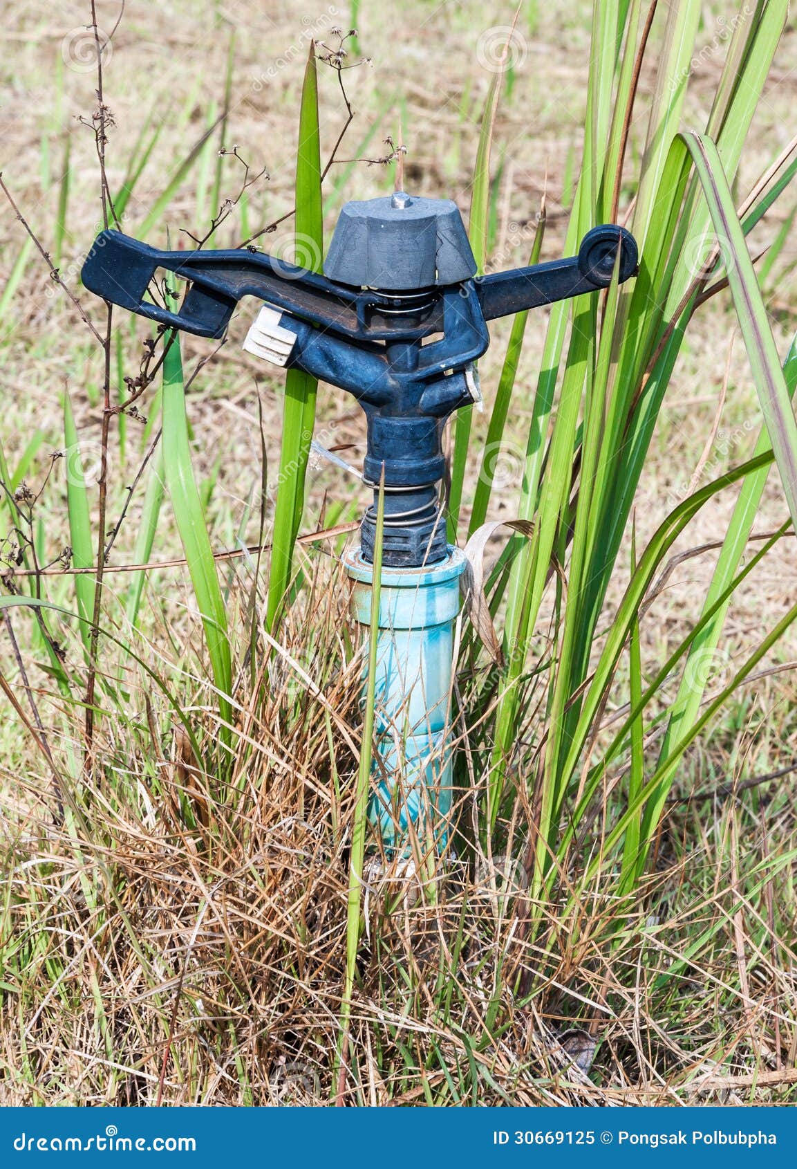 Old sprinkler stock image. Image of farm, field, lawn - 30669125