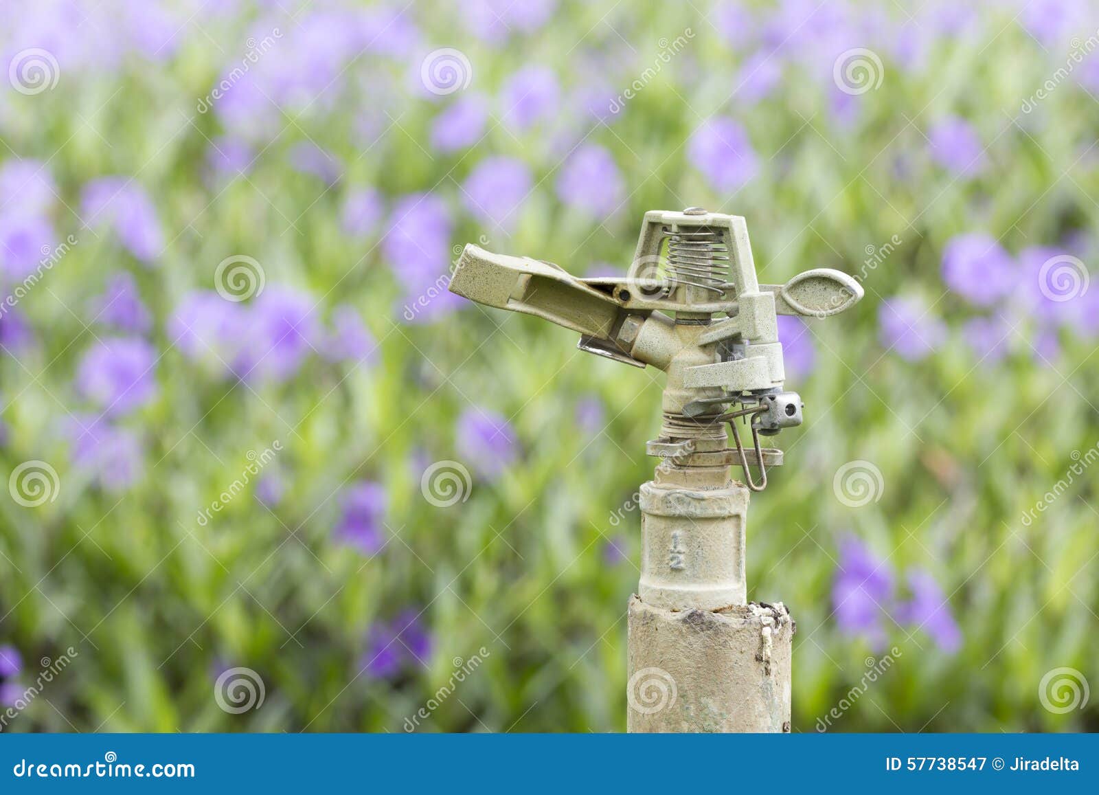 Old Sprinkler stock image. Image of irrigation, field - 57738547