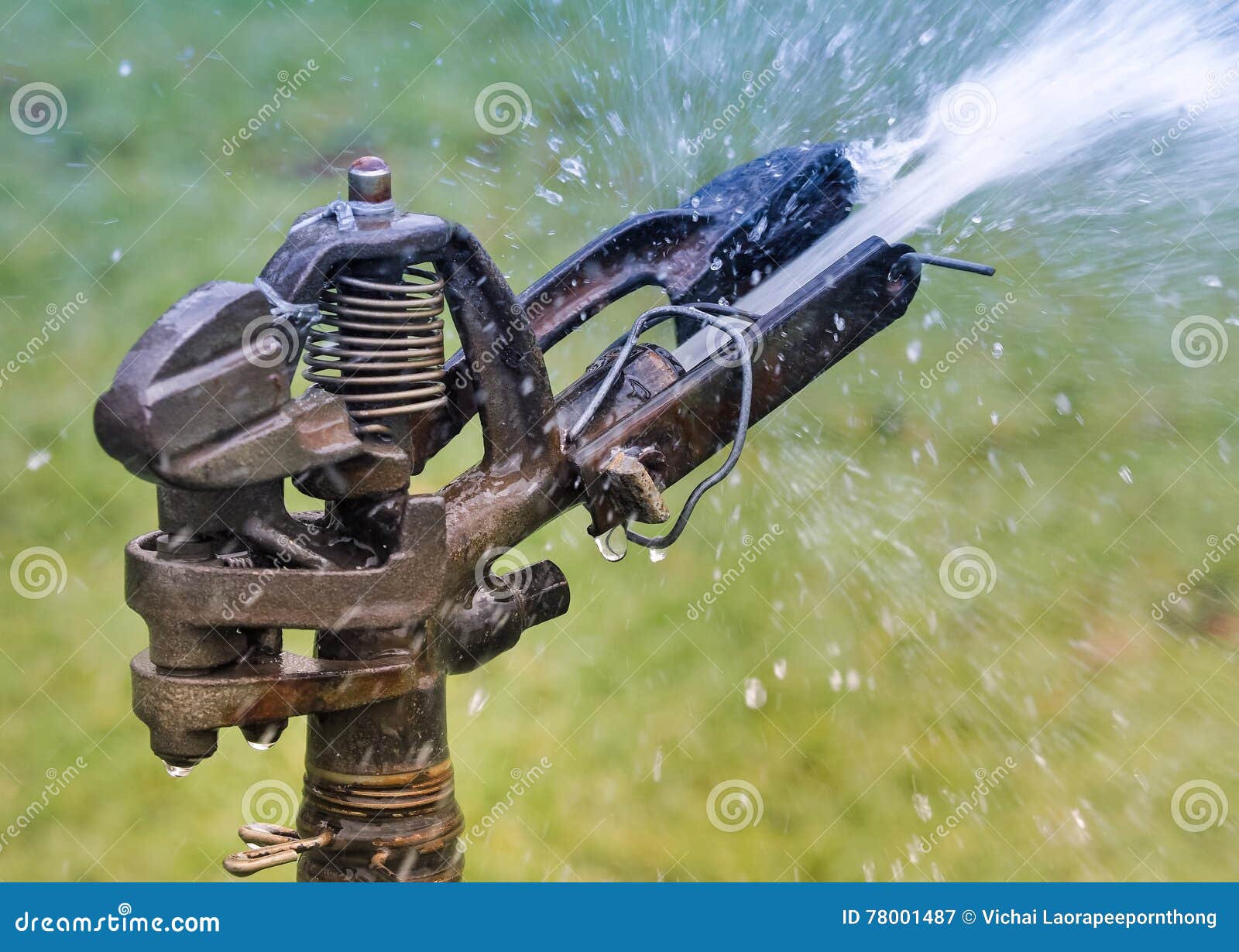 Old Sprinkler Water in the Garden Stock Image - Image of ecology ...