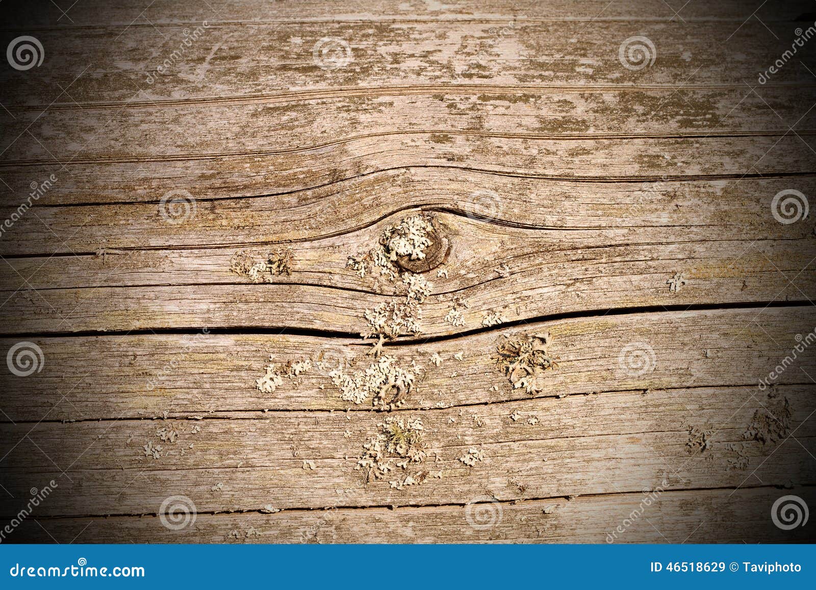 Spruce Plank Texture Royalty-Free Stock Photography | CartoonDealer.com ...