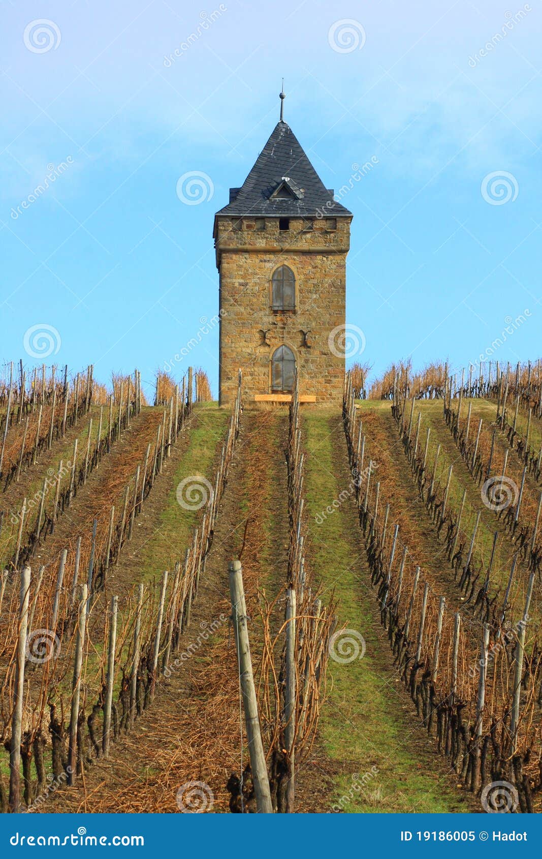 Old, square, tower stock image. Image of grape, plant - 19186005