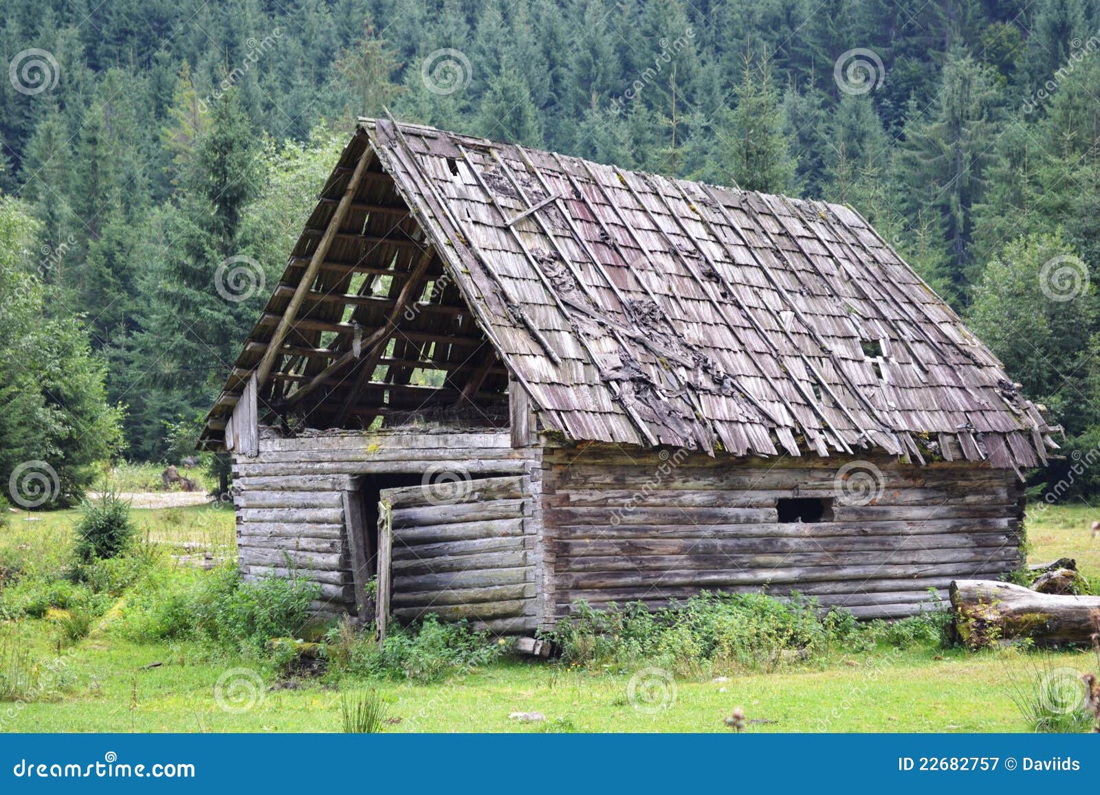 Old stable stock image. Image of grey, wood, green, forest - 22682757