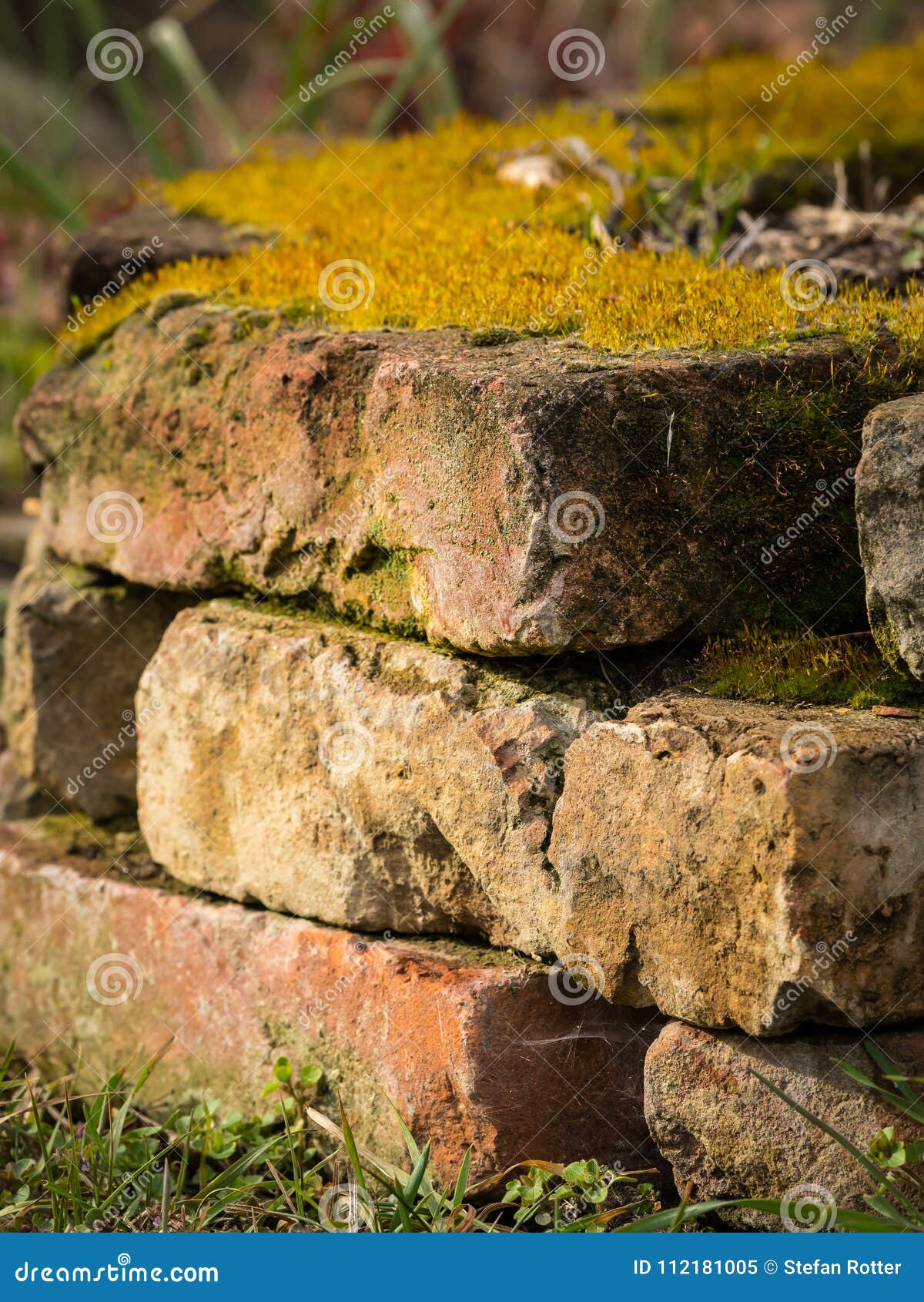 Old Stacked Bricks Covered with Flowering Moss Stock Image - Image of ...