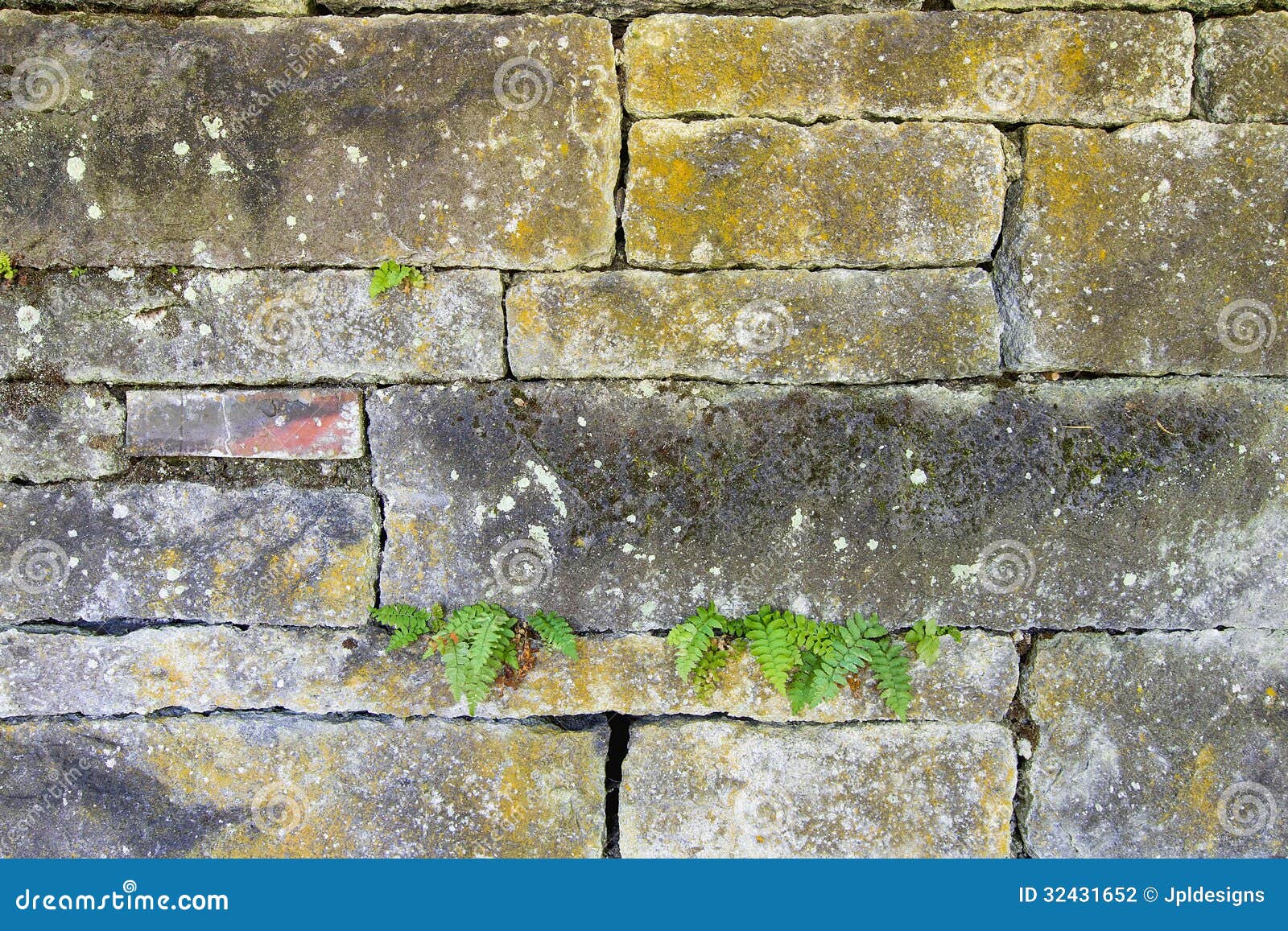 Old Stacked Stone Wall with Ferns Stock Photo - Image of stacked ...