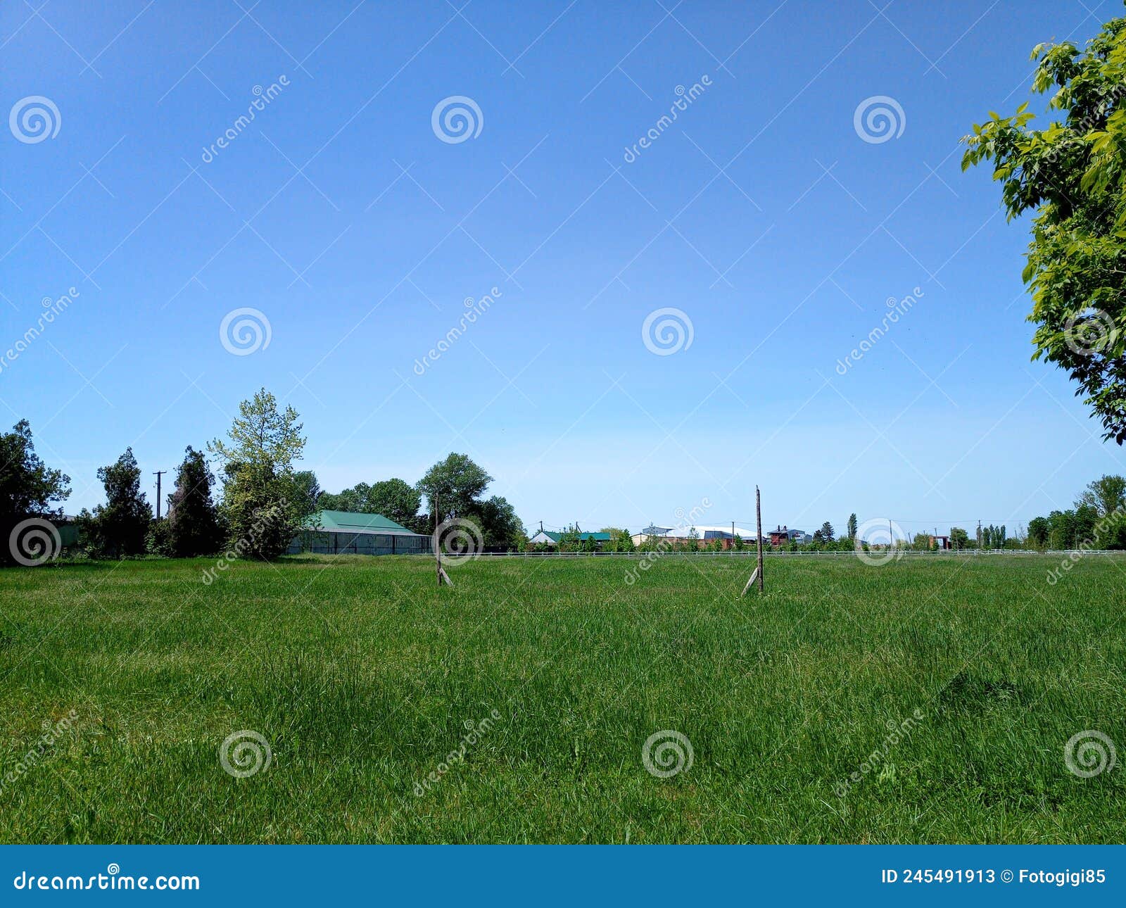 Old Stadium Overgrown with Grass. Rural Stadium Stock Image - Image of ...