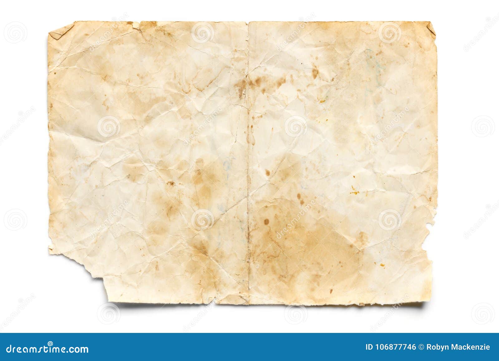 Old Stained and Torn Paper on White Stock Photo - Image of crinkled ...