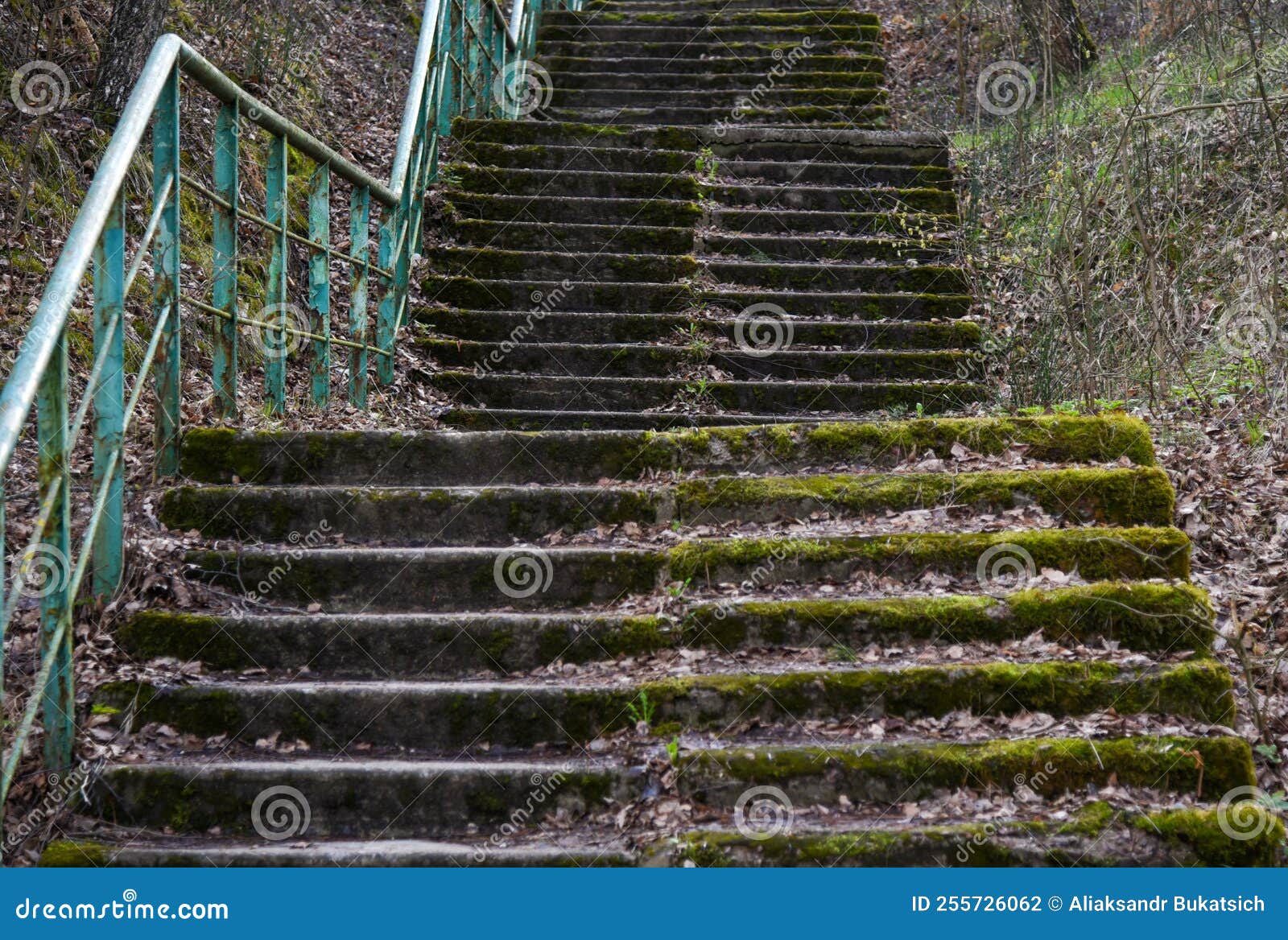 Old Staircase Covered with Moss in the Park Stock Photo - Image of ...