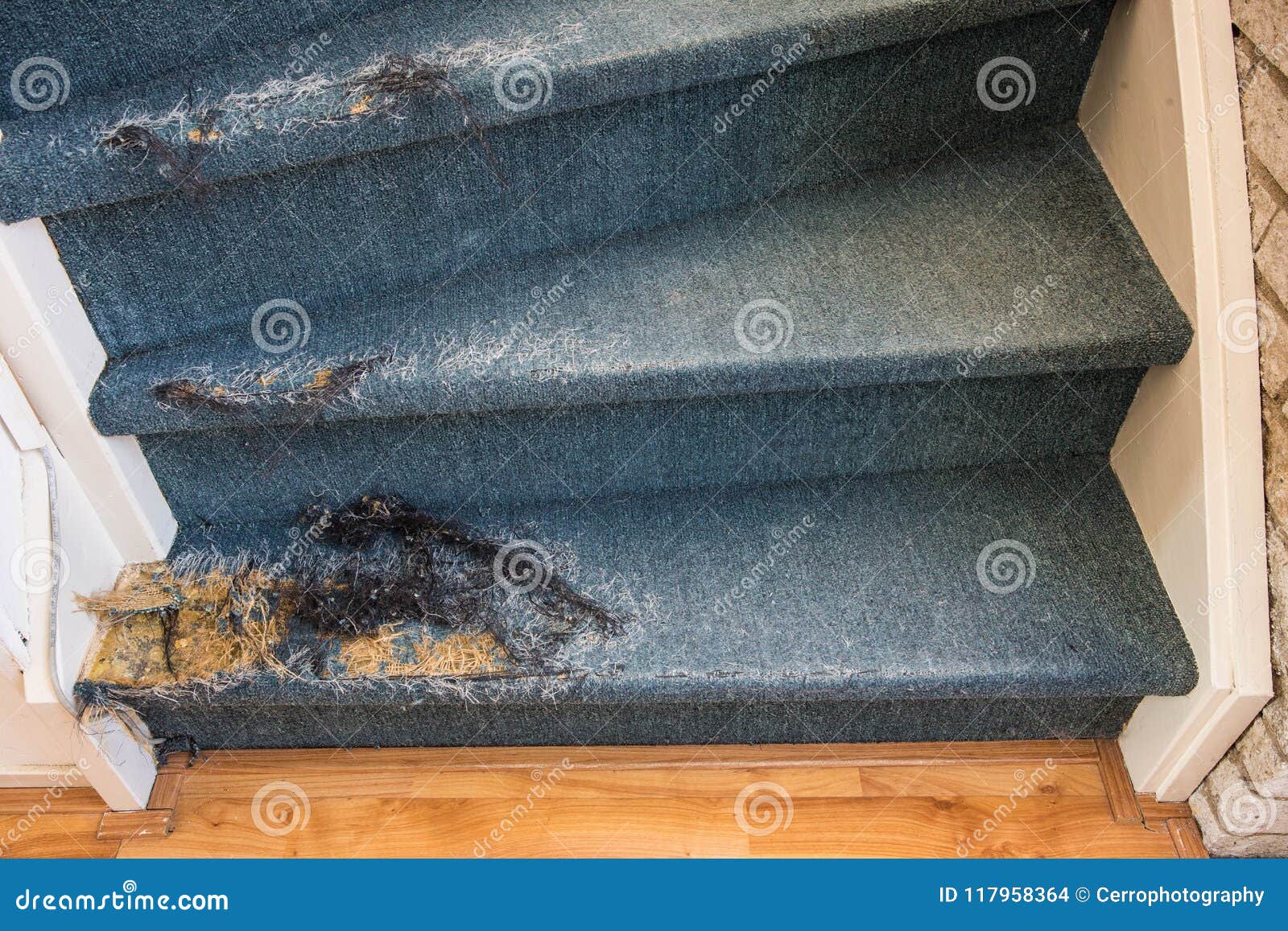 Old Staircase with Damaged Carpet Stock Photo - Image of alley, cellar ...