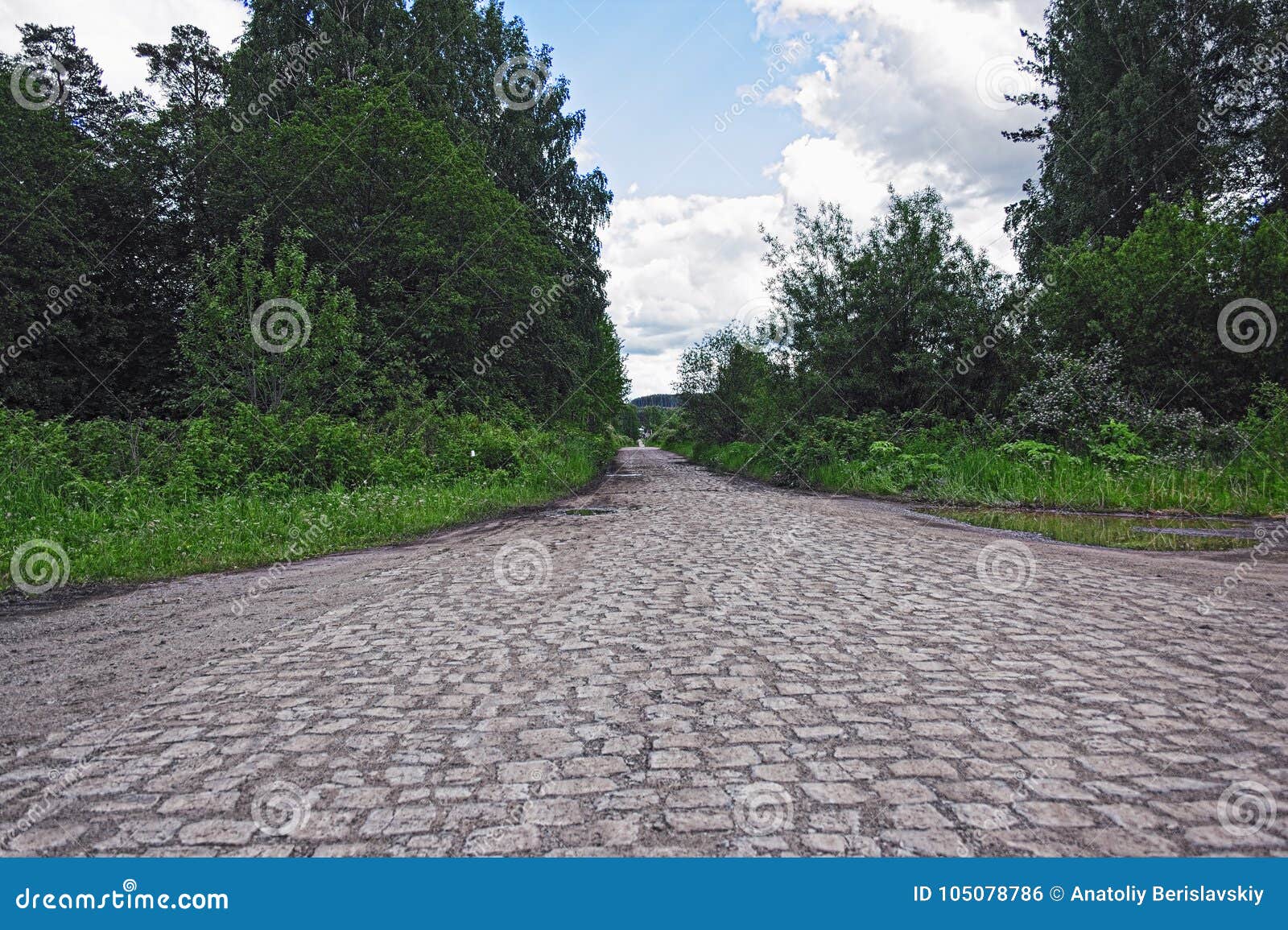 Stone Pavement through the Forest Stock Photo - Image of downward ...