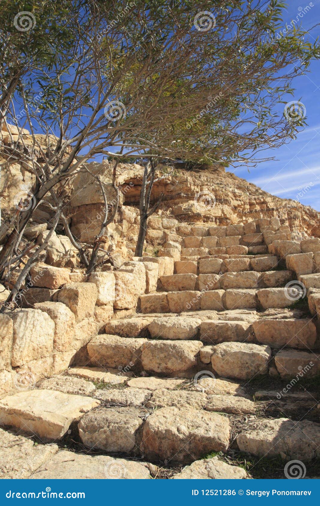 Old stairs stock photo. Image of tree, structure, stone - 12521286
