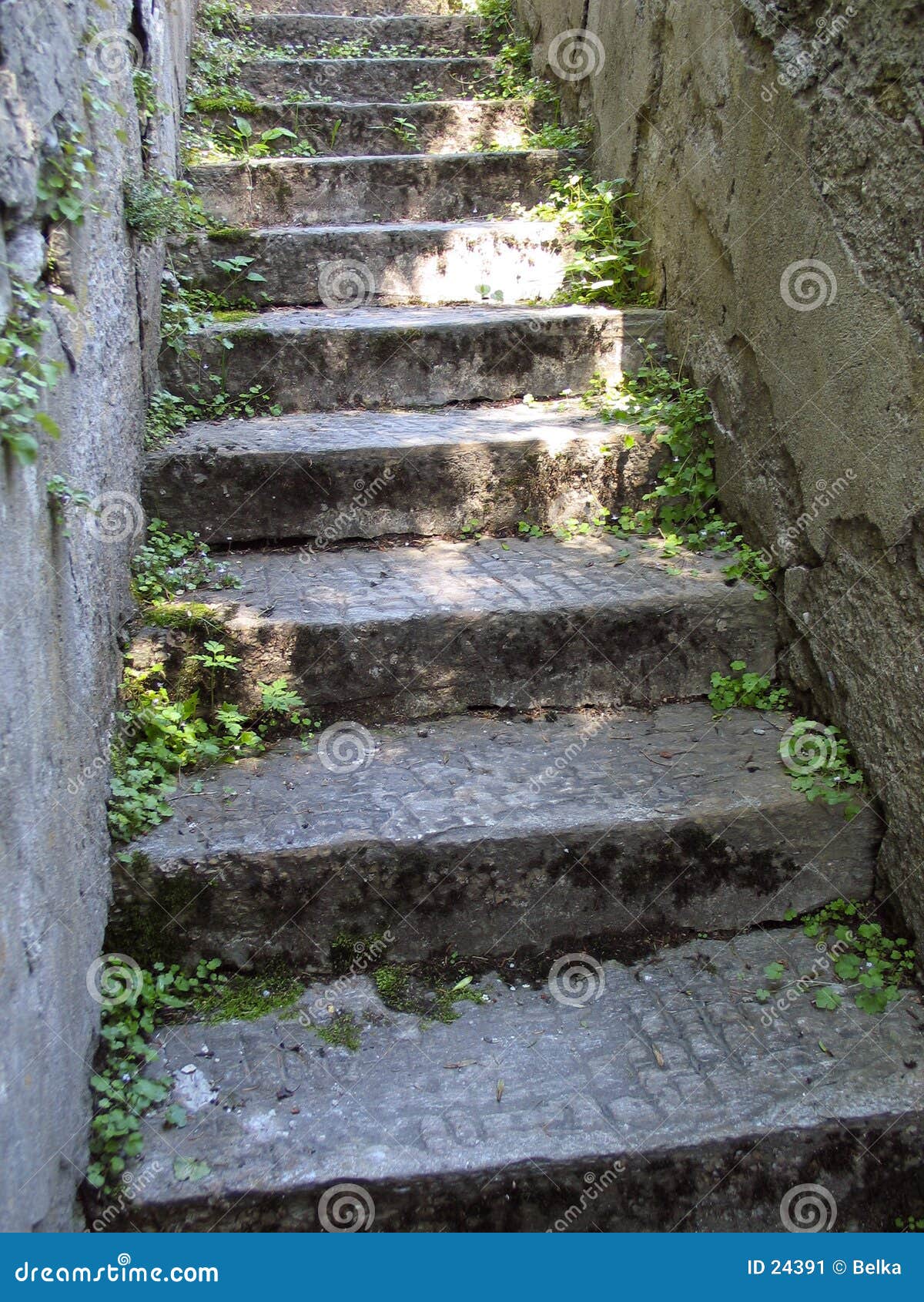 Old stairs stock image. Image of grass, stony, plans, stairs - 24391
