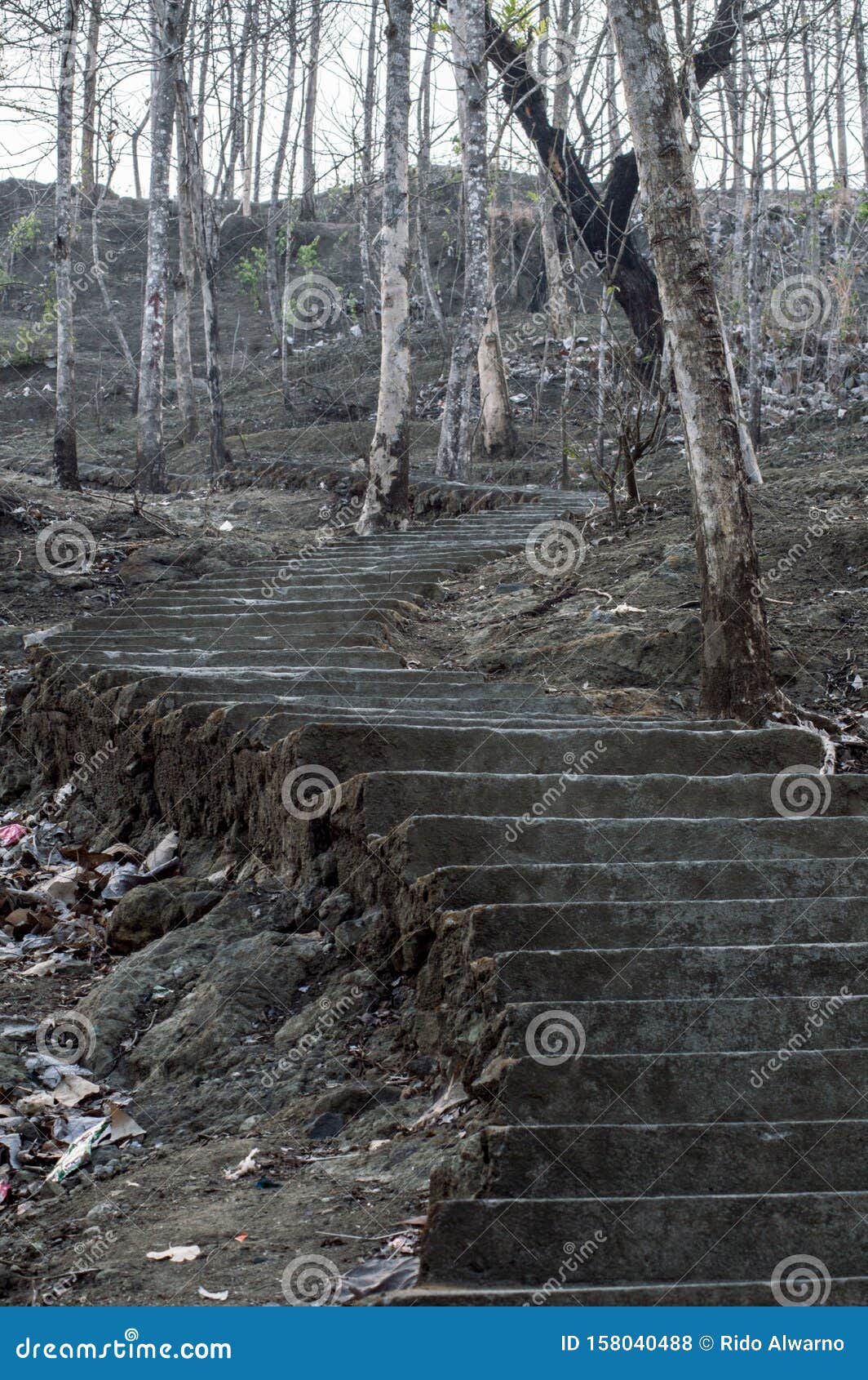 Day Of The Dead Stairs Royalty-Free Stock Photography | CartoonDealer ...