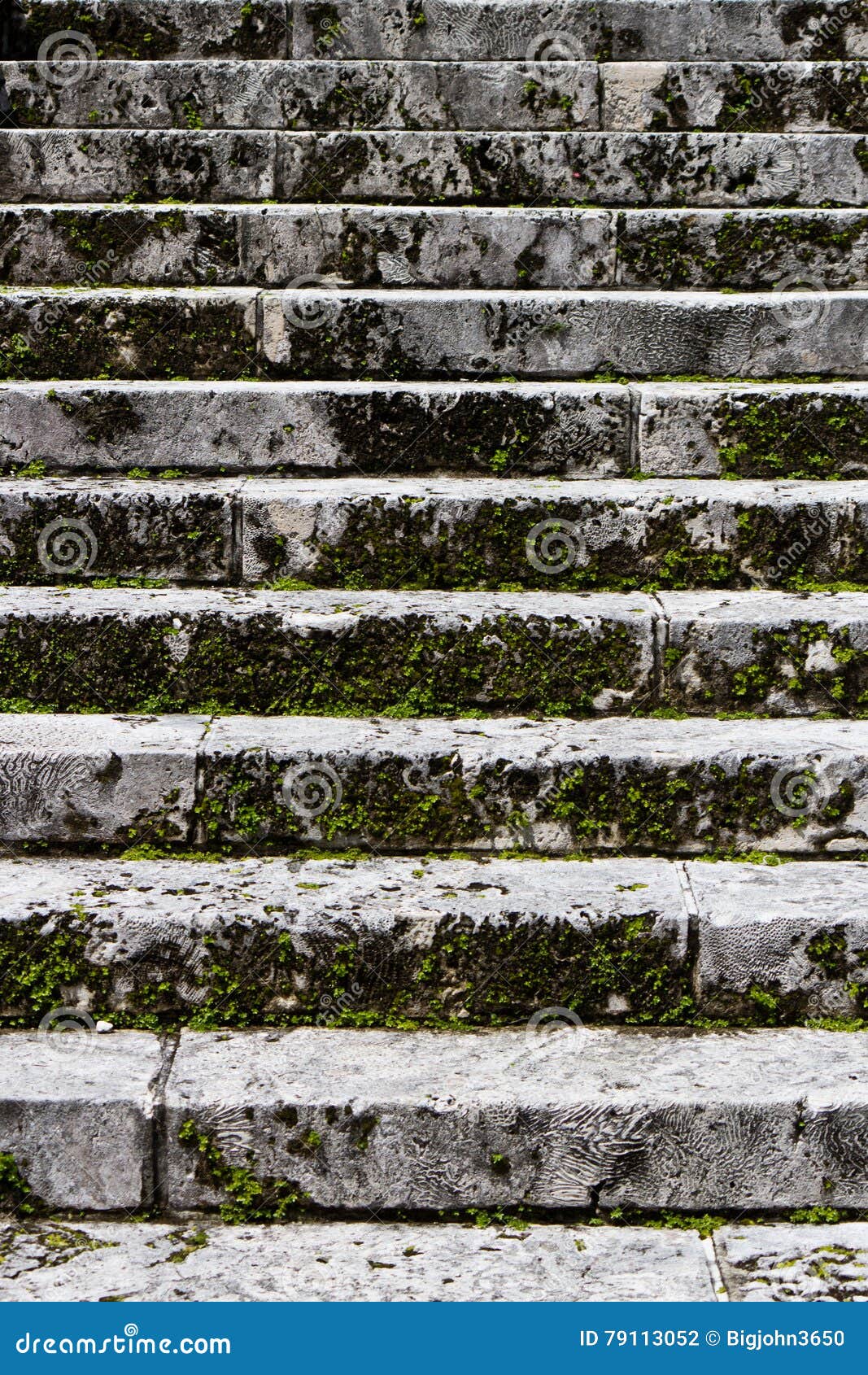 Old stairs covered in moss stock photo. Image of grunge - 79113052