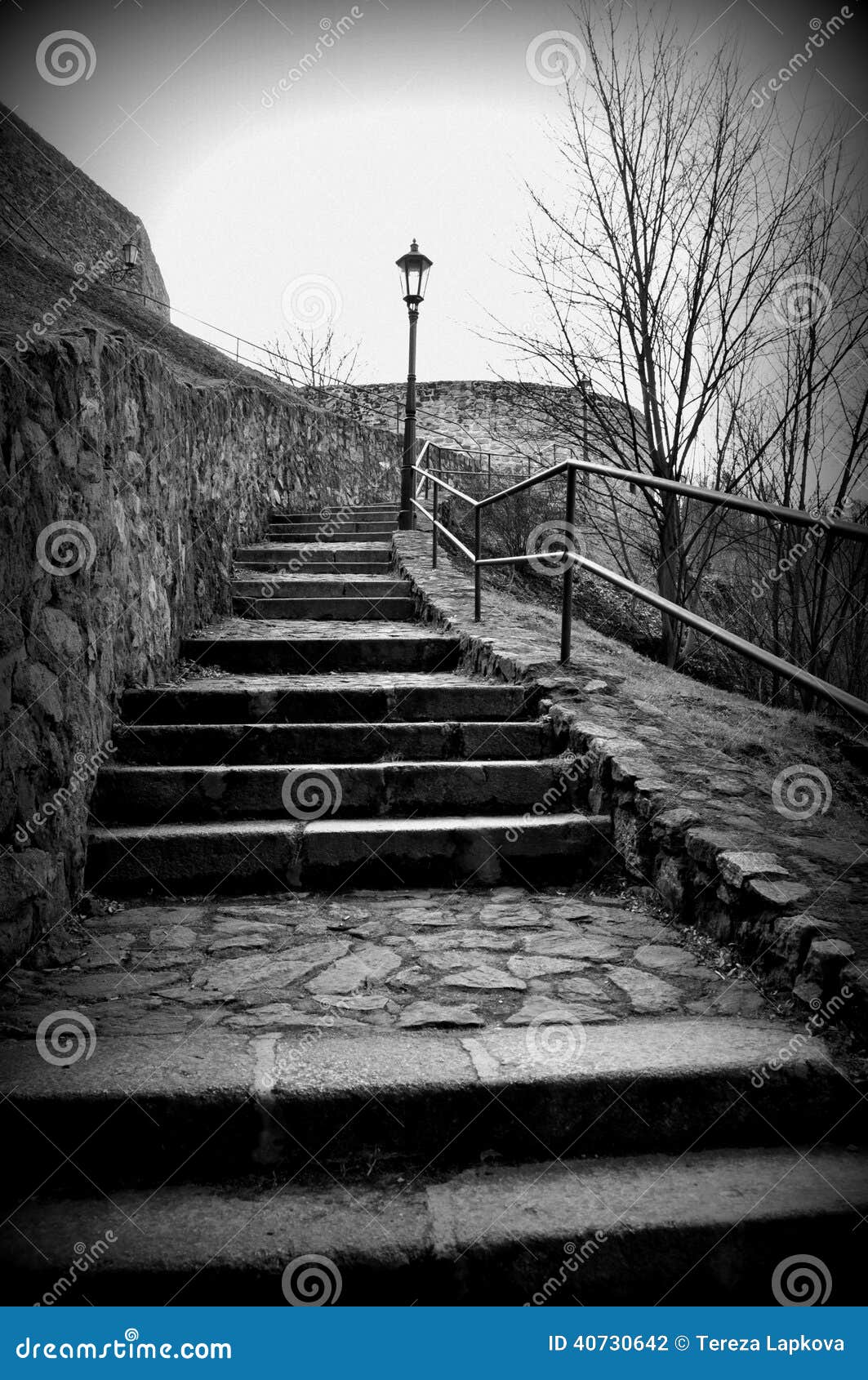 Old stairs stock photo. Image of trees, stone, black - 40730642