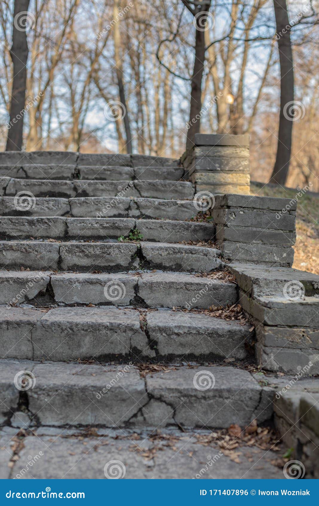 Old stairs in the park stock photo. Image of garden - 171407896