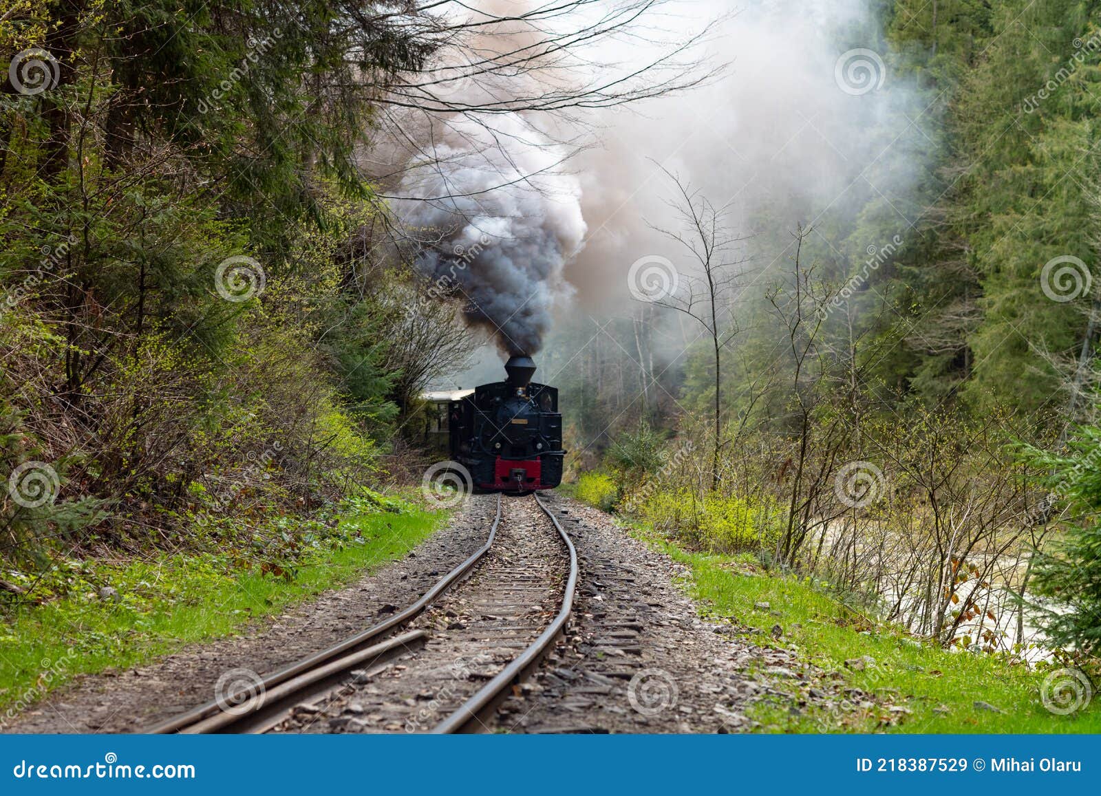 Old Steam Train of Maramures in Viseu Stock Image - Image of variety ...