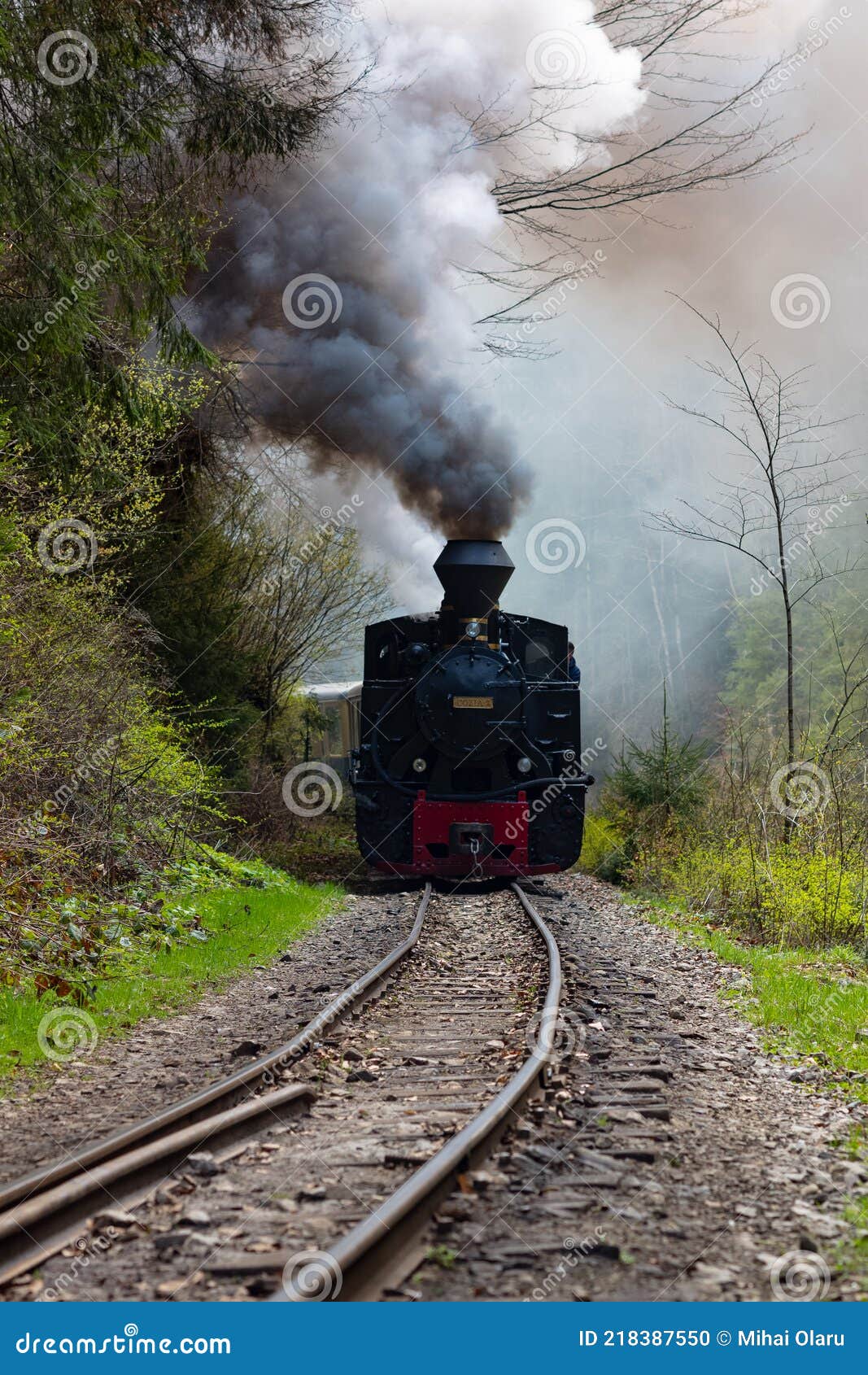 Old Steam Train of Maramures in Viseu Editorial Image - Image of wide ...