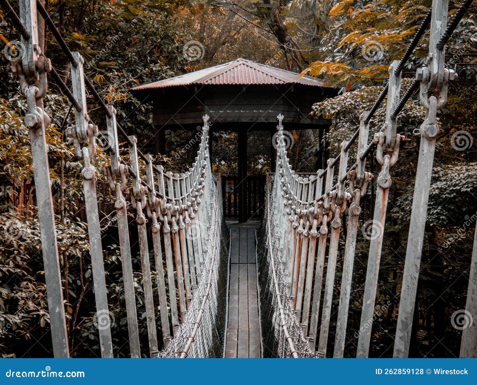 Old Steel Bridge Going To the Cottage Stock Photo - Image of road ...