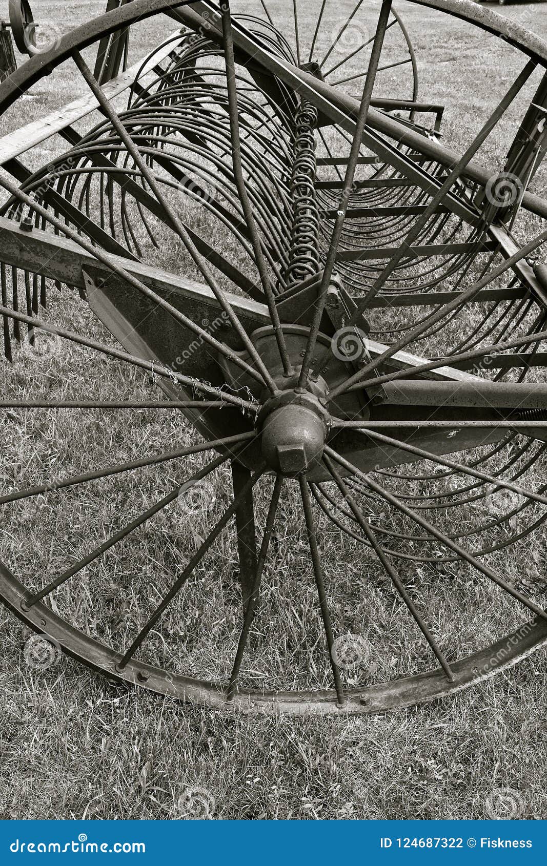 Old vintage dump rake stock photo. Image of horse, machine - 124687322