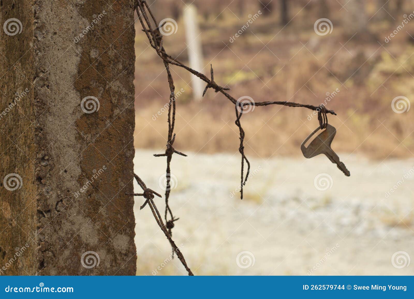 The Old Steel Key on the Rusty Bard Wire Line. Stock Photo - Image of ...