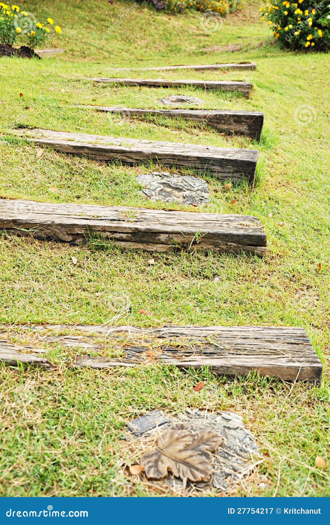 Old stepping wood stock image. Image of mystery, landscape - 27754217