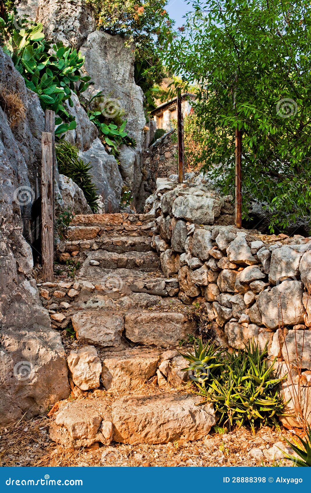 Old steps stock photo. Image of staircases, cactus, built - 28888398