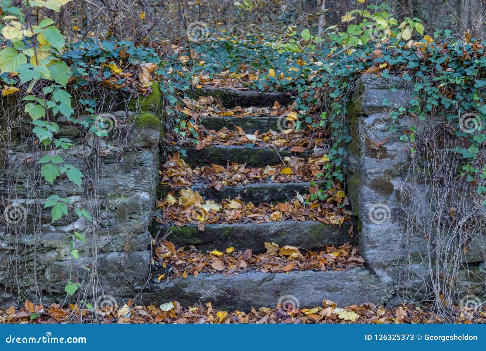 Old Steps stock image. Image of hike, park, pathway - 126325373