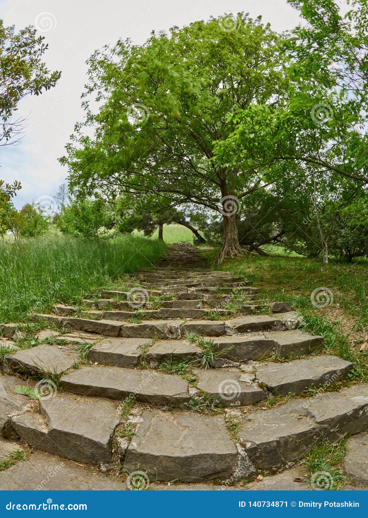 Old Steps in the Green Park Stock Image - Image of landscape, exterior ...