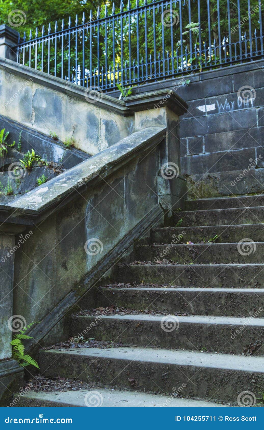 Old steps in Edinburgh stock image. Image of tree, ancient - 104255711