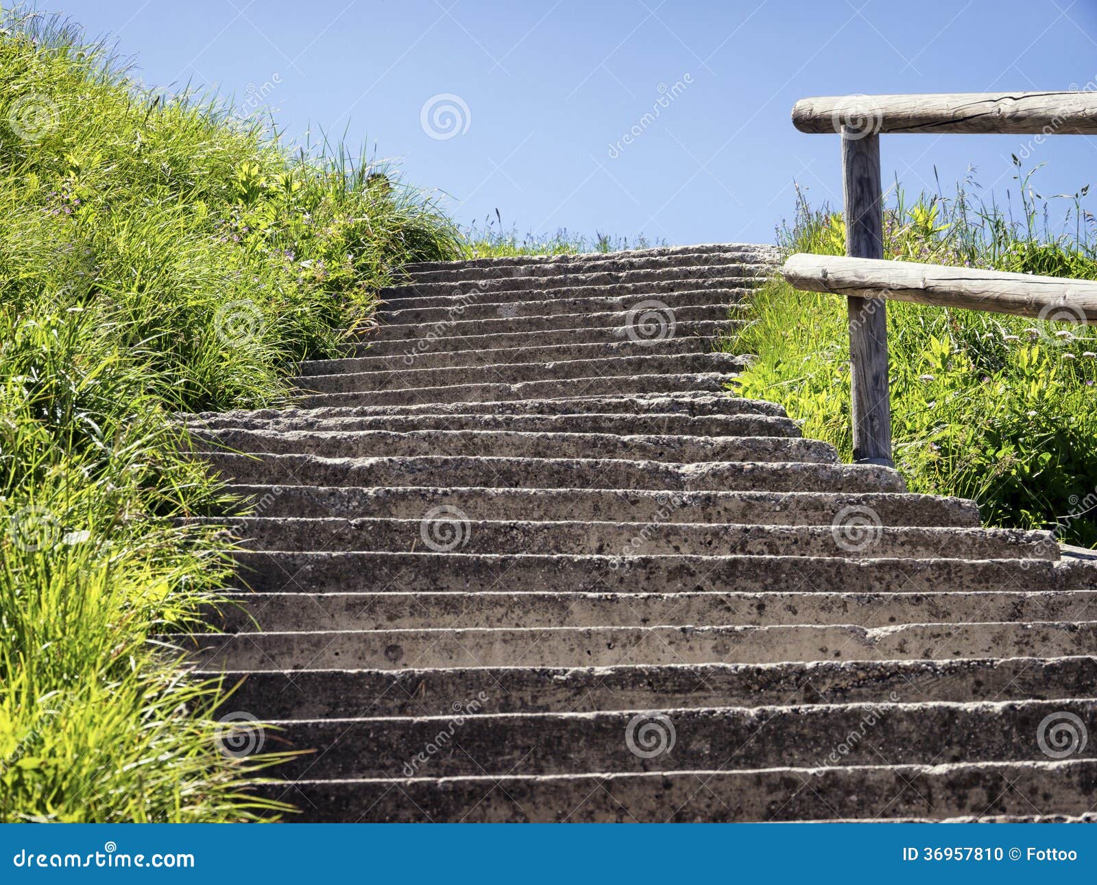 Old steps stock photo. Image of railing, handrail, lawn - 36957810