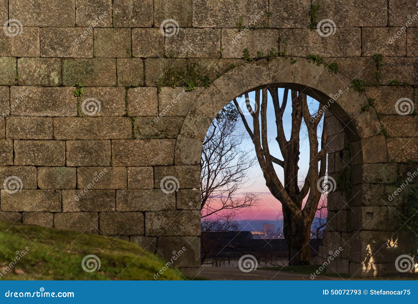 Old Stone Arch Door in a Wall and a Far Tree on Sunset Stock Image ...