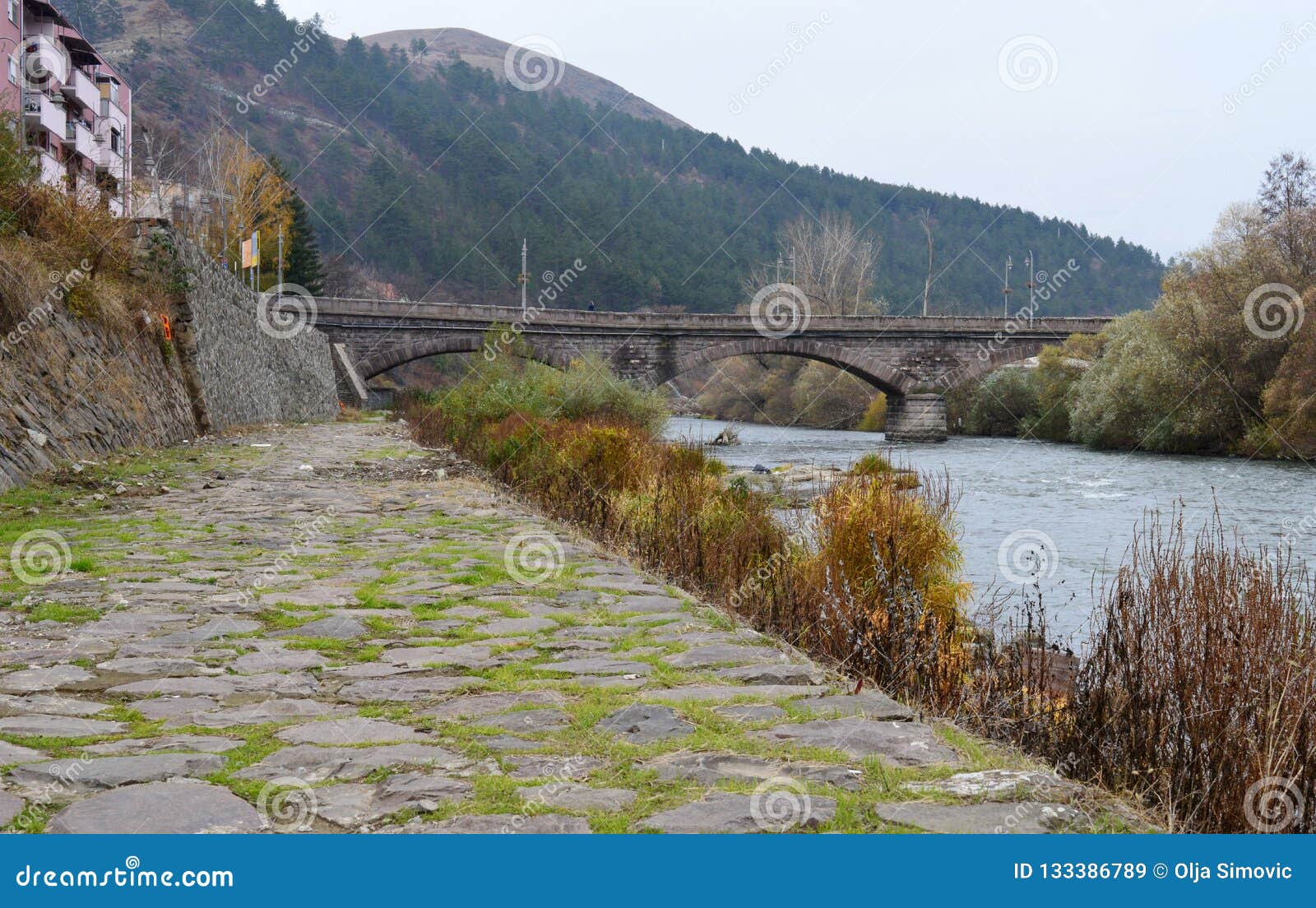 Stone bridge in autumn stock image. Image of autumn - 133386789