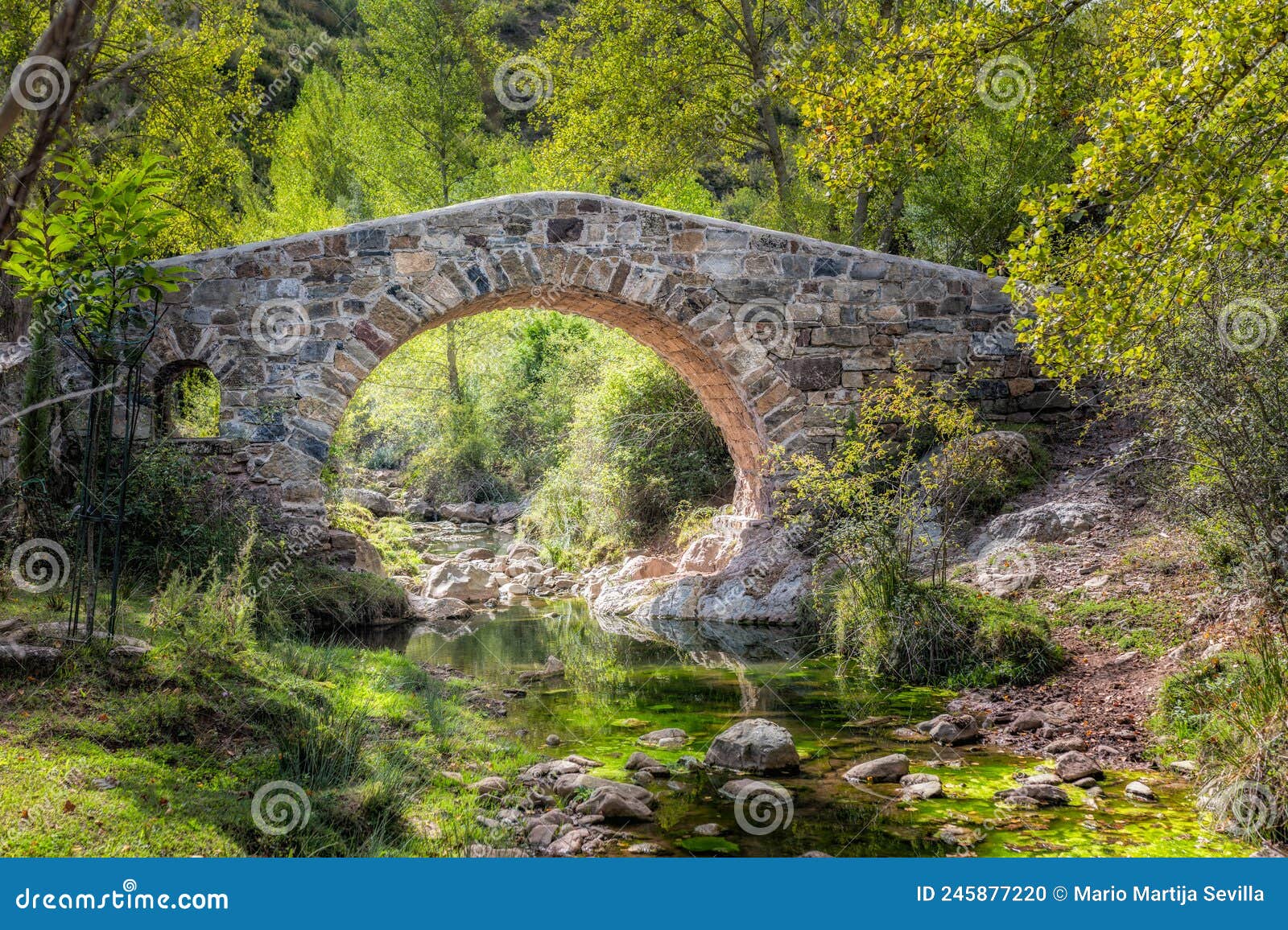 Old Stone Bridge in the Forest Stock Photo - Image of scenic ...