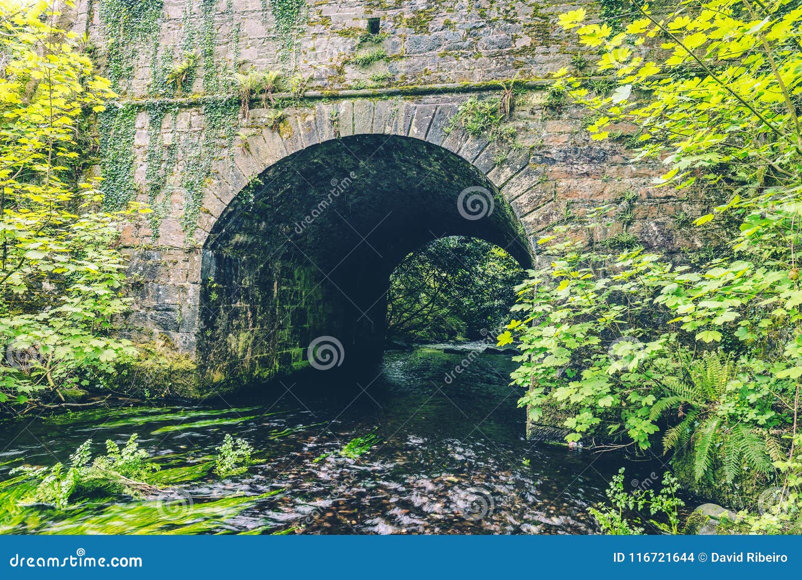 An Old Stone Bridge in the Irish Countryside with a Tiny River Running ...