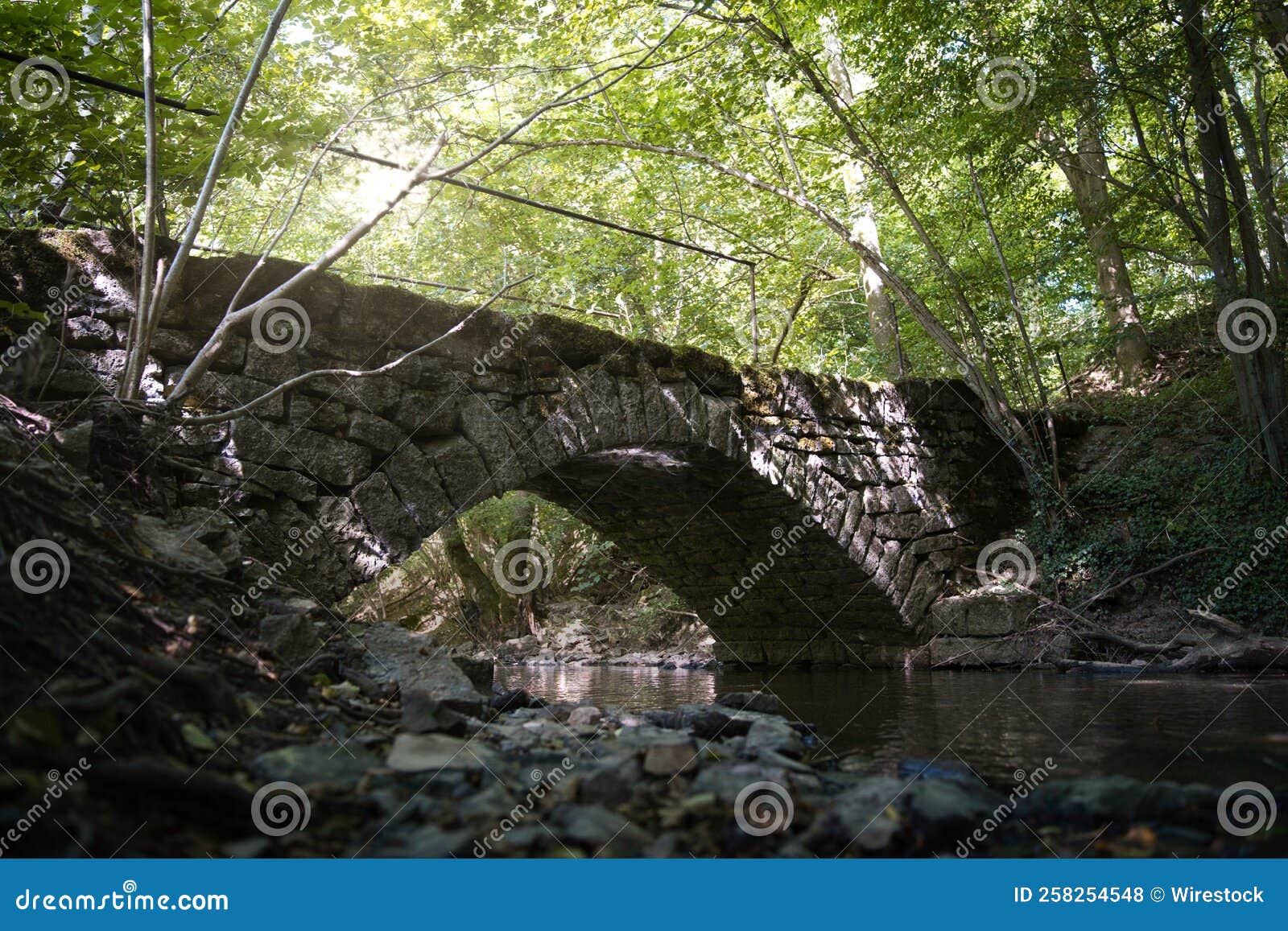 Old Stone Bridge Over the River in Dense Forest Stock Photo - Image of ...