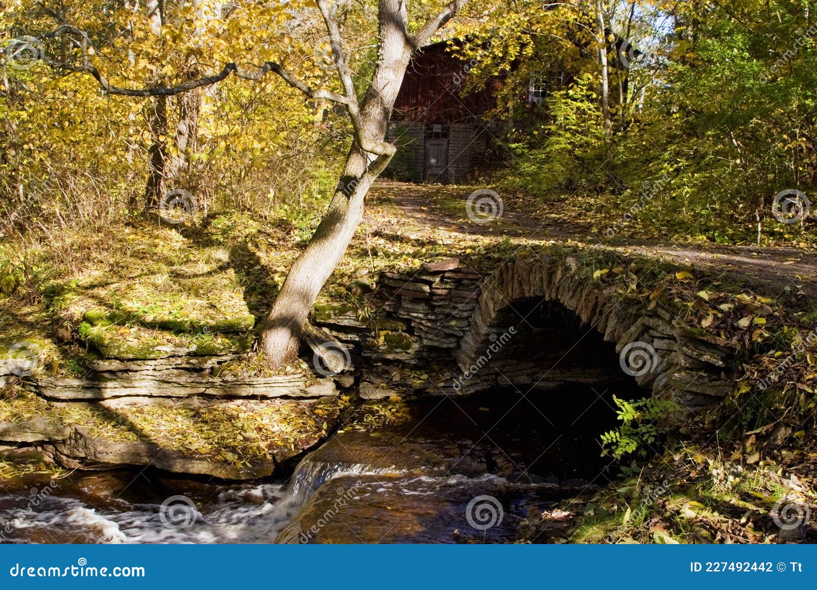 Old Stone Bridge Over a Stream in Autumn Stock Photo - Image of arch ...