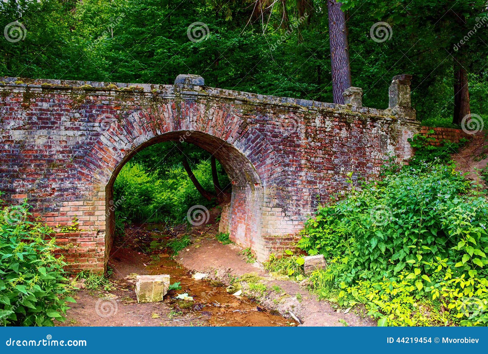 Old Stone Bridge in the Woods Stock Photo - Image of path, nature: 44219454