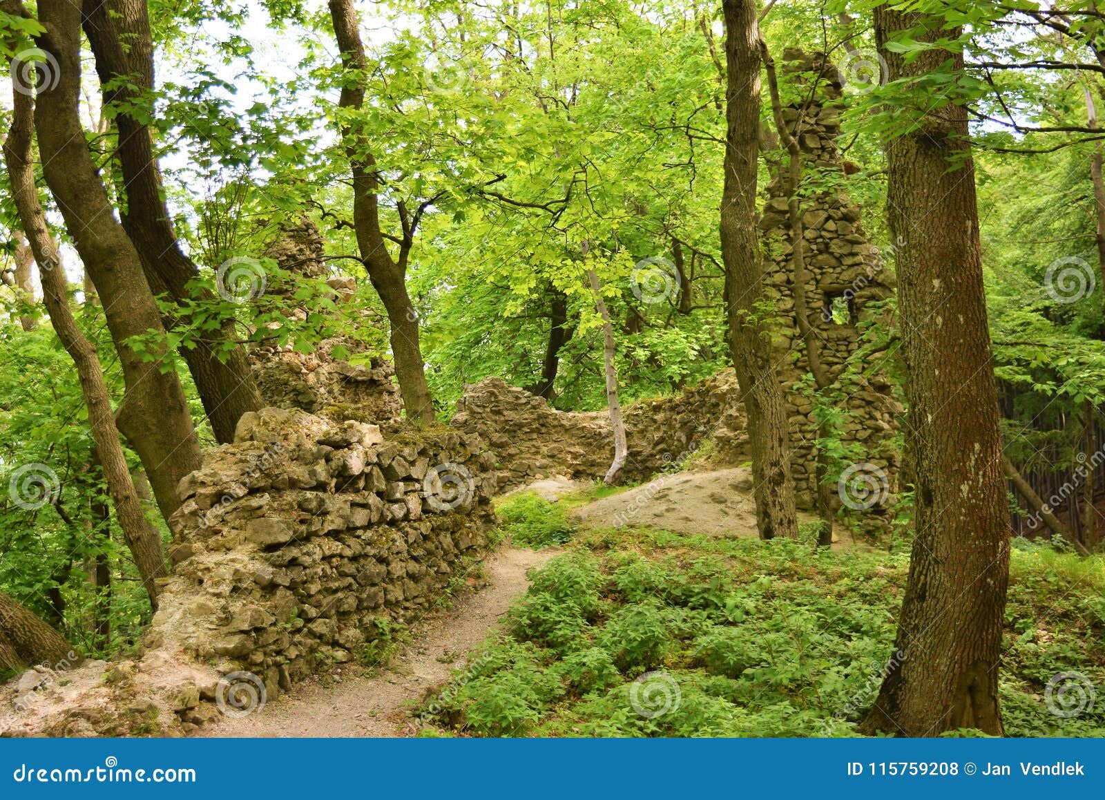 Old Stone Castle Ruins in Forest. Hot Summer Day Stock Photo - Image of ...
