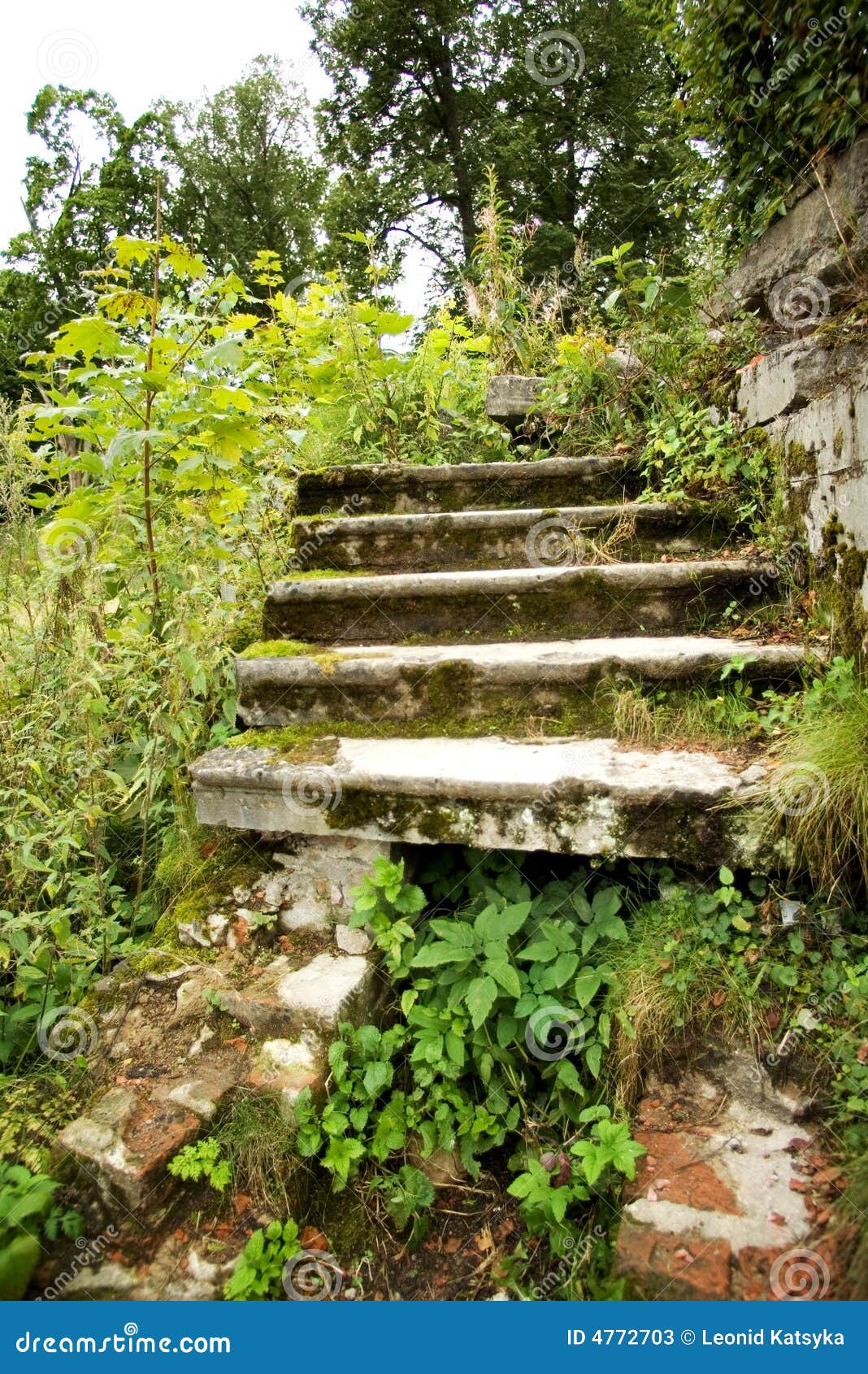 The old stone ladder stock image. Image of ladder, city - 4772703