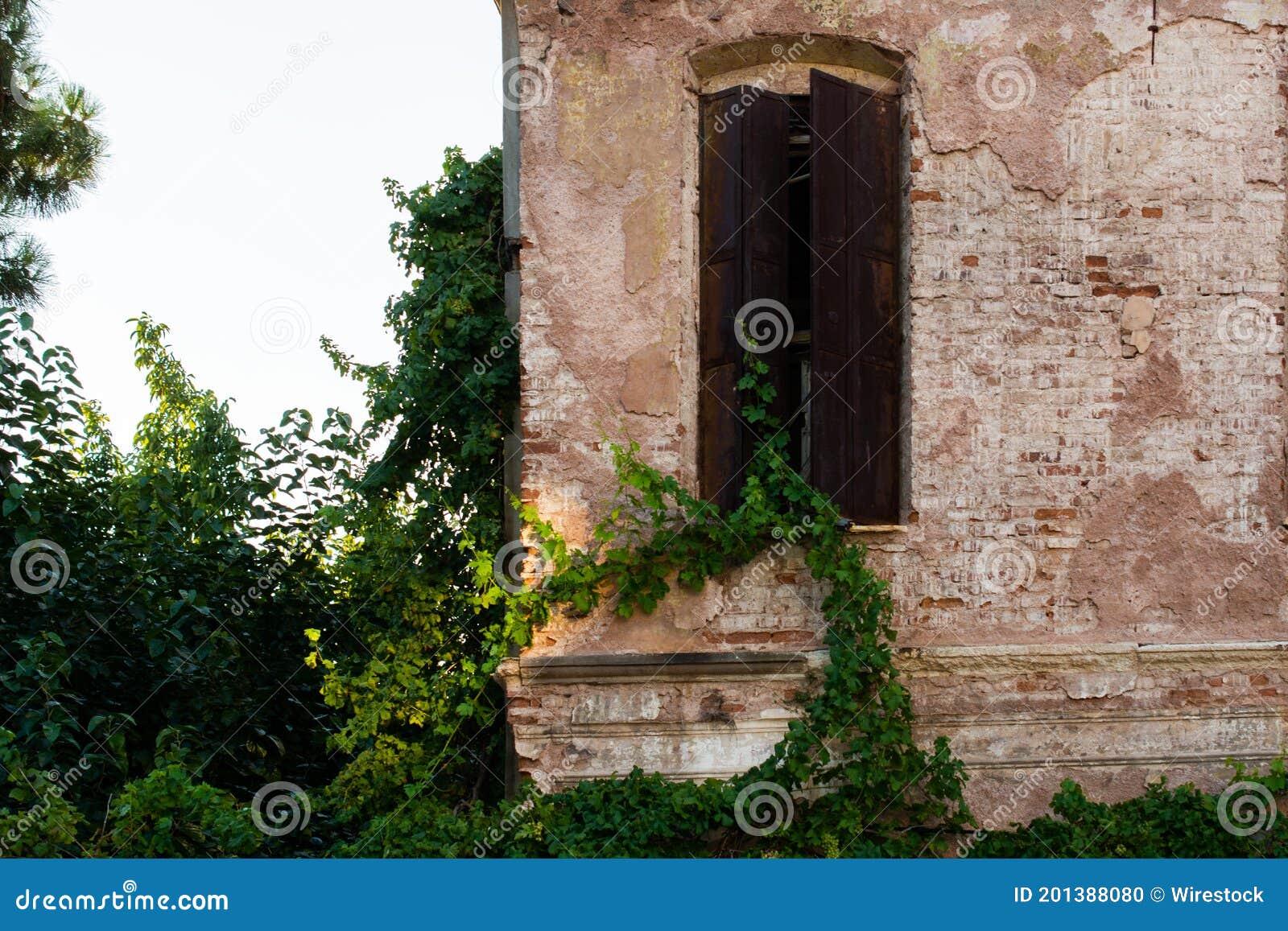 Old Stone-made Building with Creeping Plants Growing Over Walls Stock ...