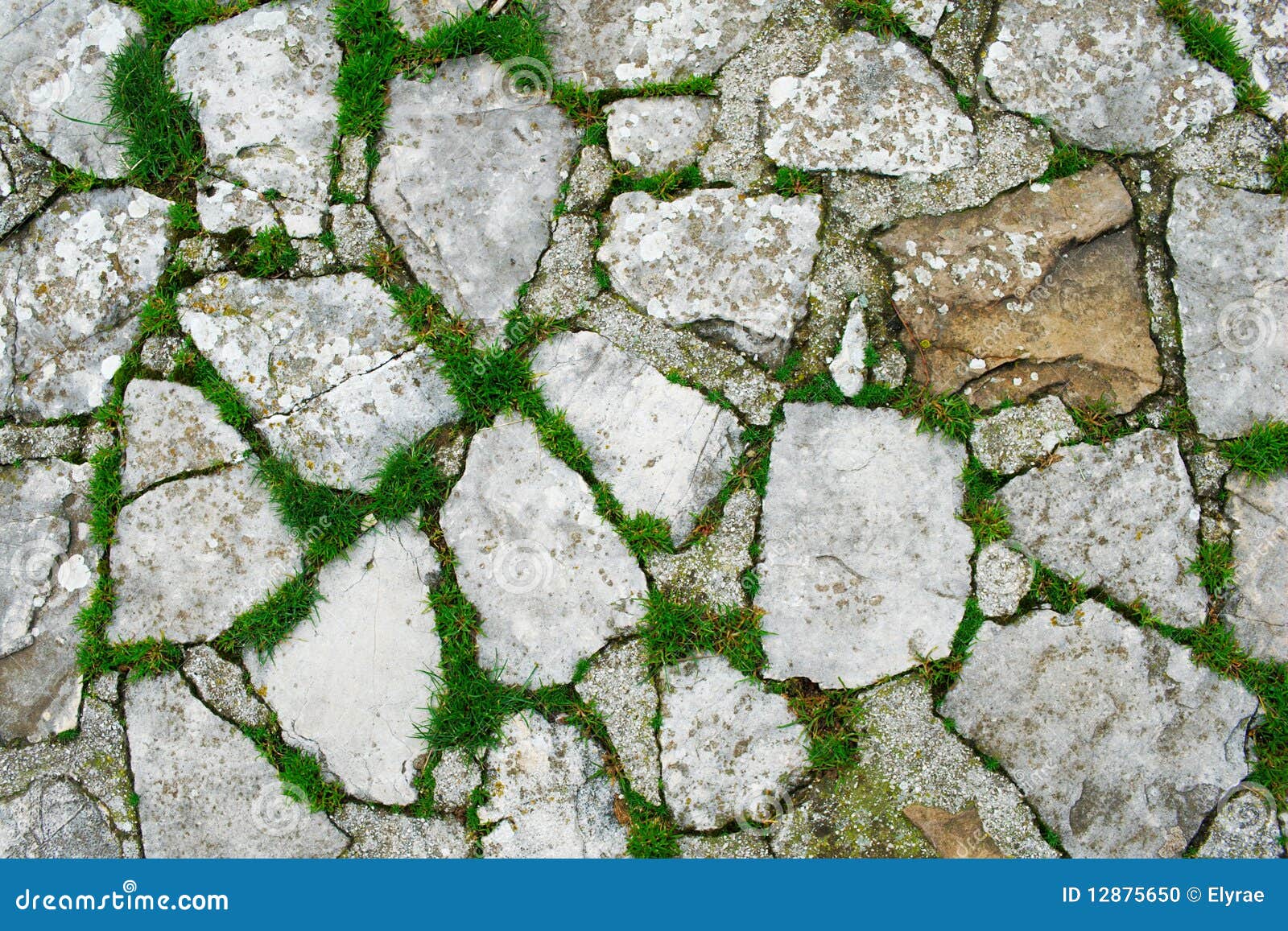 Old stone path stock photo. Image of crowded, nature - 12875650