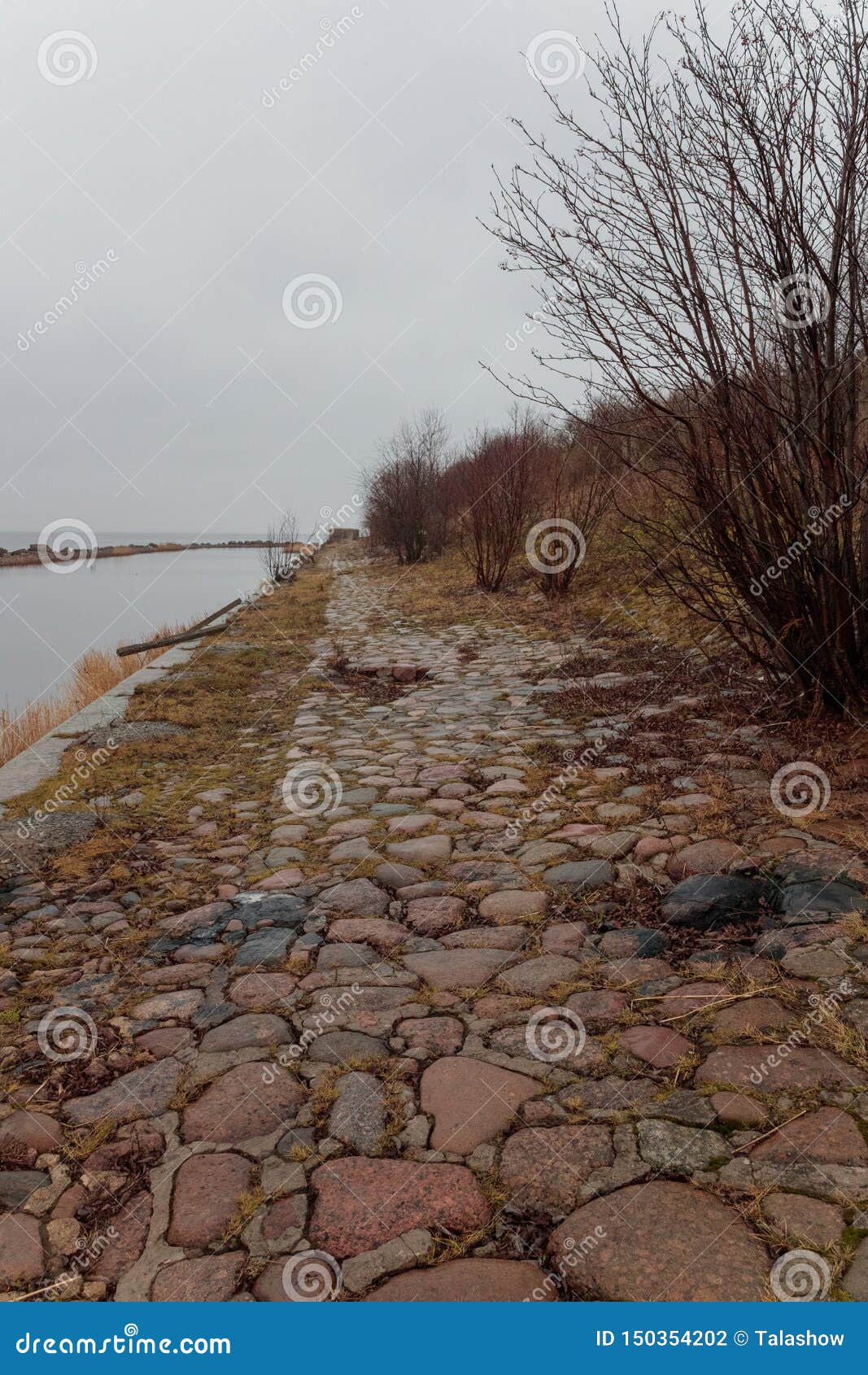 Old Stone Path in the Autumn Season Stock Photo - Image of wallpaper ...