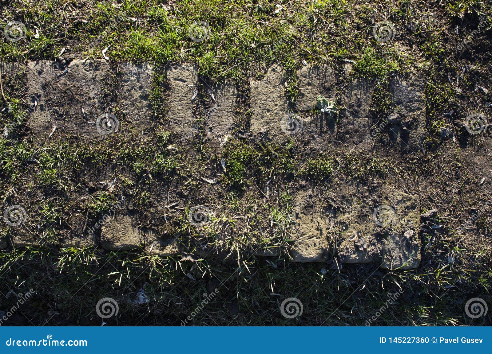 Old stone path stock photo. Image of rock, steps, plants - 145227360