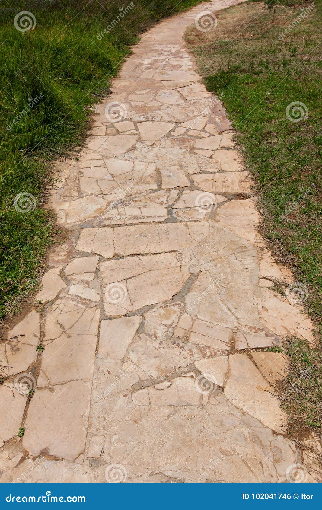 Ancient stone path stock photo. Image of park, pathway - 102041746