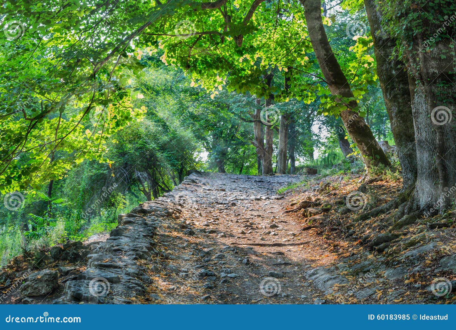 Old Stone Pathway in the Park Stock Image - Image of stone, light: 60183985