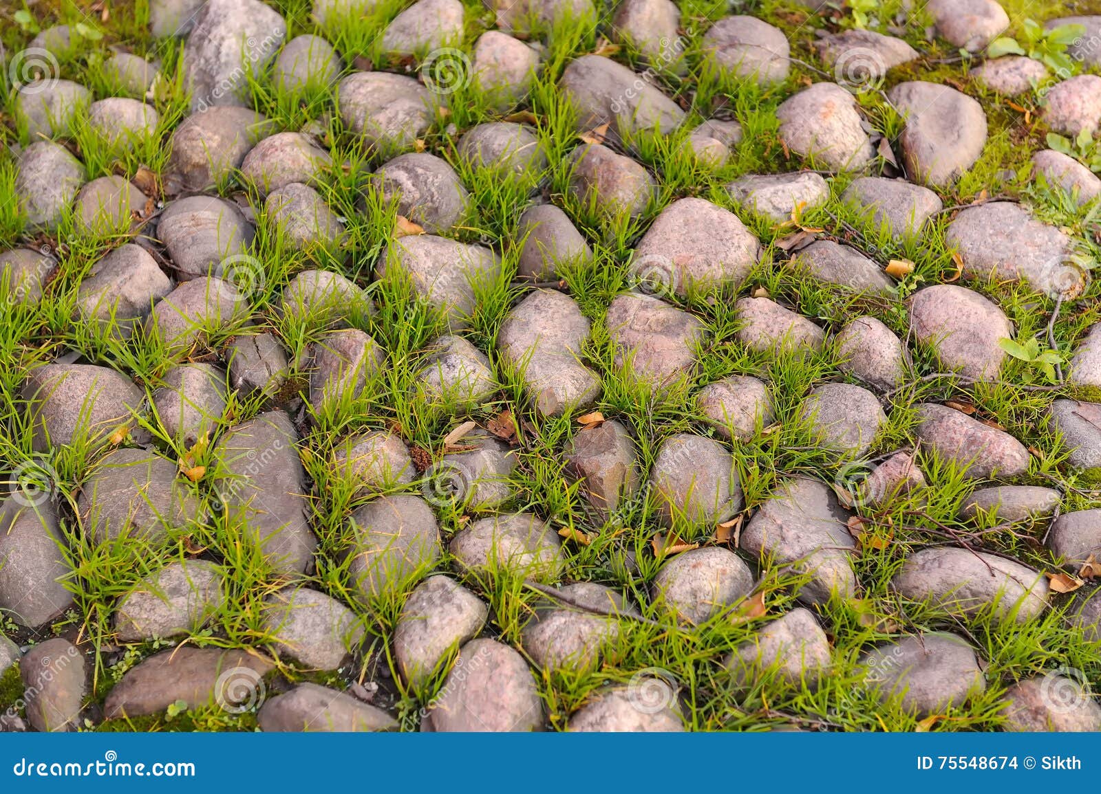 Old Stone Paved Path with Grass Stock Photo - Image of causeway, border ...