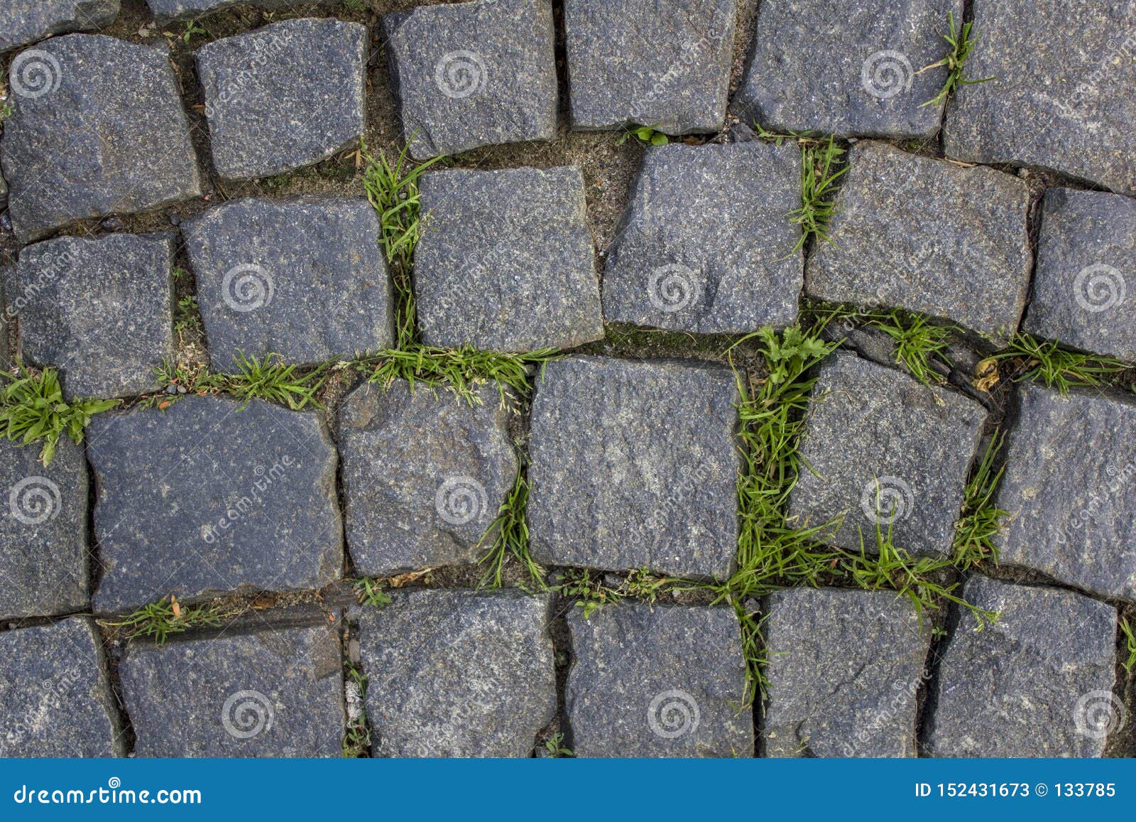 Old Stone Pavement of Blue Stones of Various Shapes and Sizes with ...