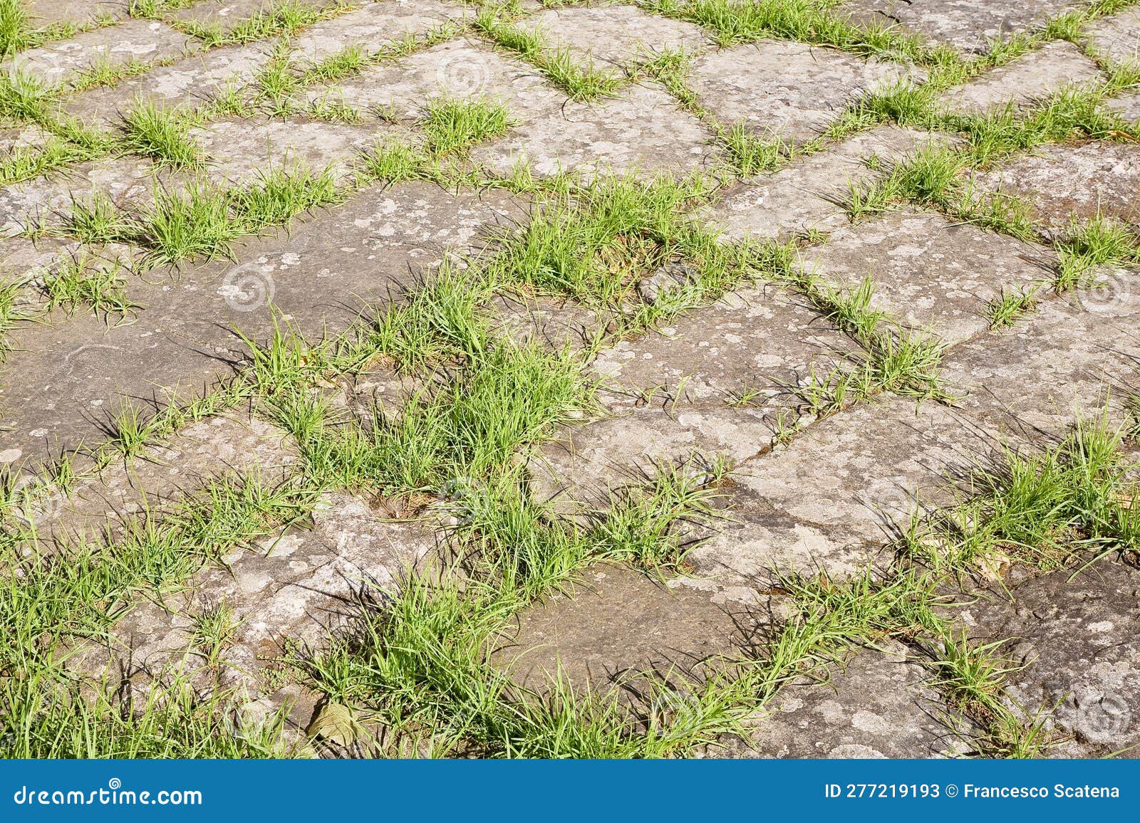 Old Stone Paving I with Irregularly Shaped Stone Blocks in a Pedestrian ...