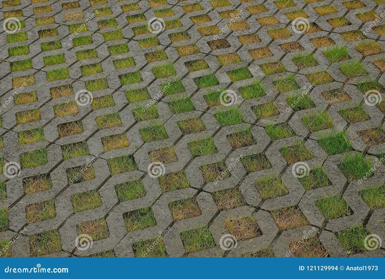 Stone Paving Slab in the Grass on the Road Stock Photo - Image of ...