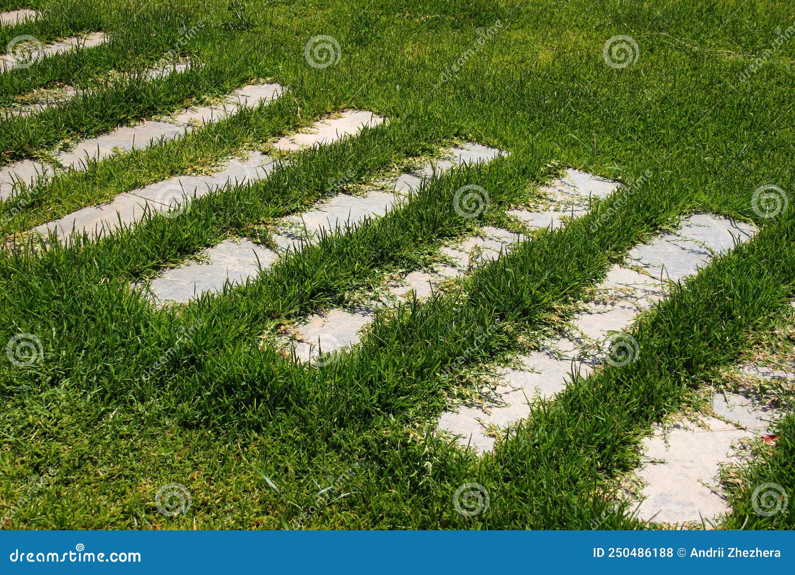 Old Stone Slabs in Green Grass Stock Photo - Image of slabs, park ...